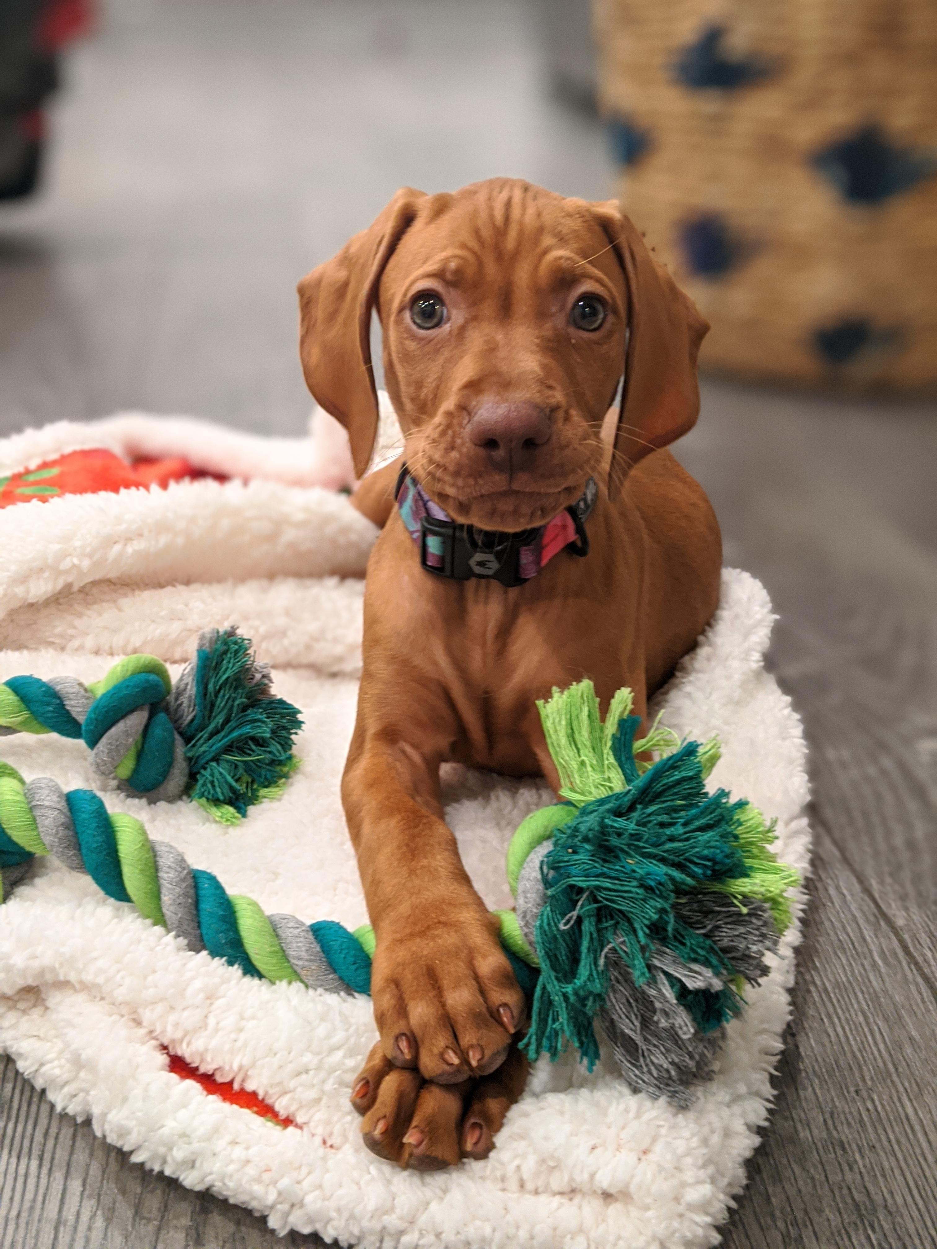 Cute but a psycho. | Scrolller