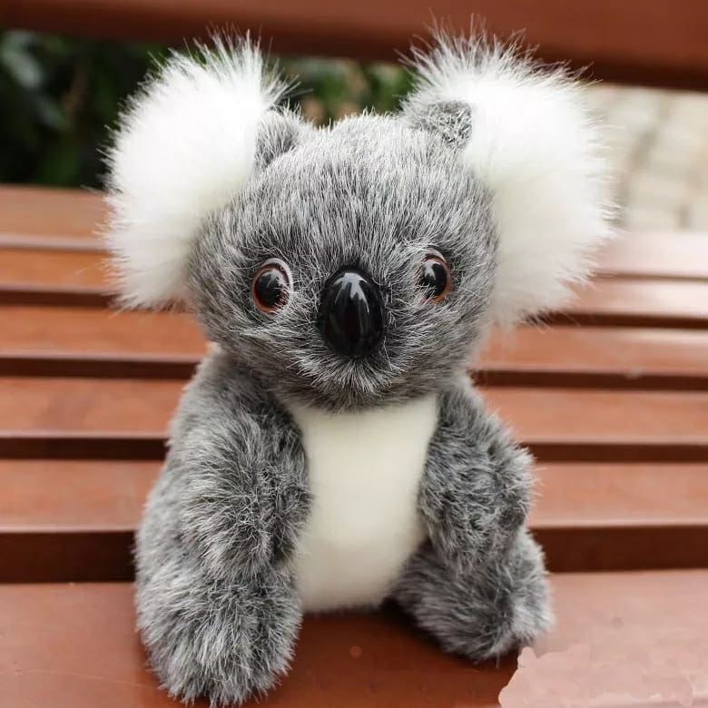 Cute lil baby koala | Scrolller
