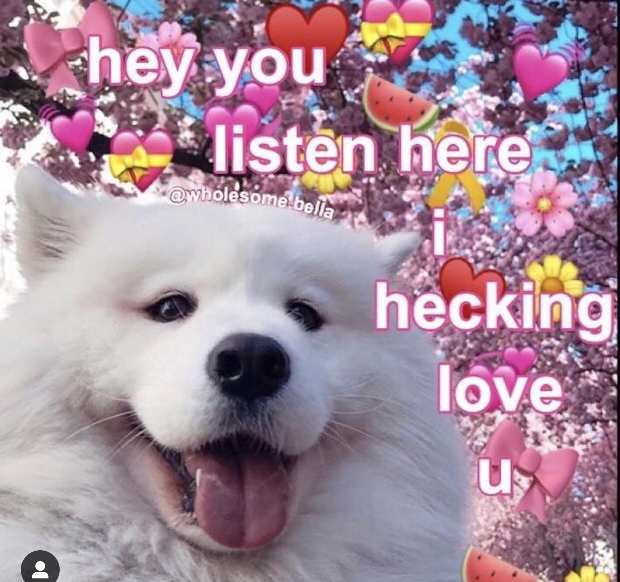 Cute meme | Scrolller