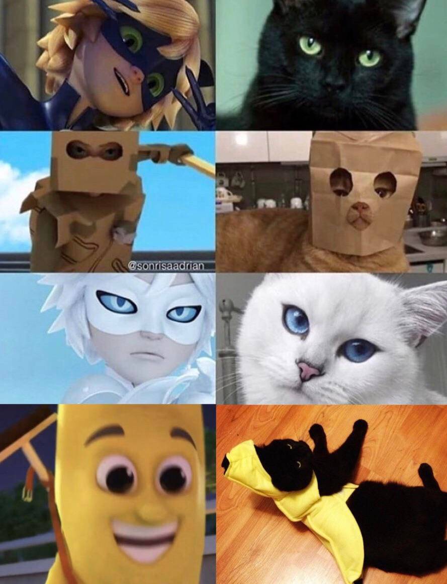 Cute? Yes, but Bananoir tho. | Scrolller