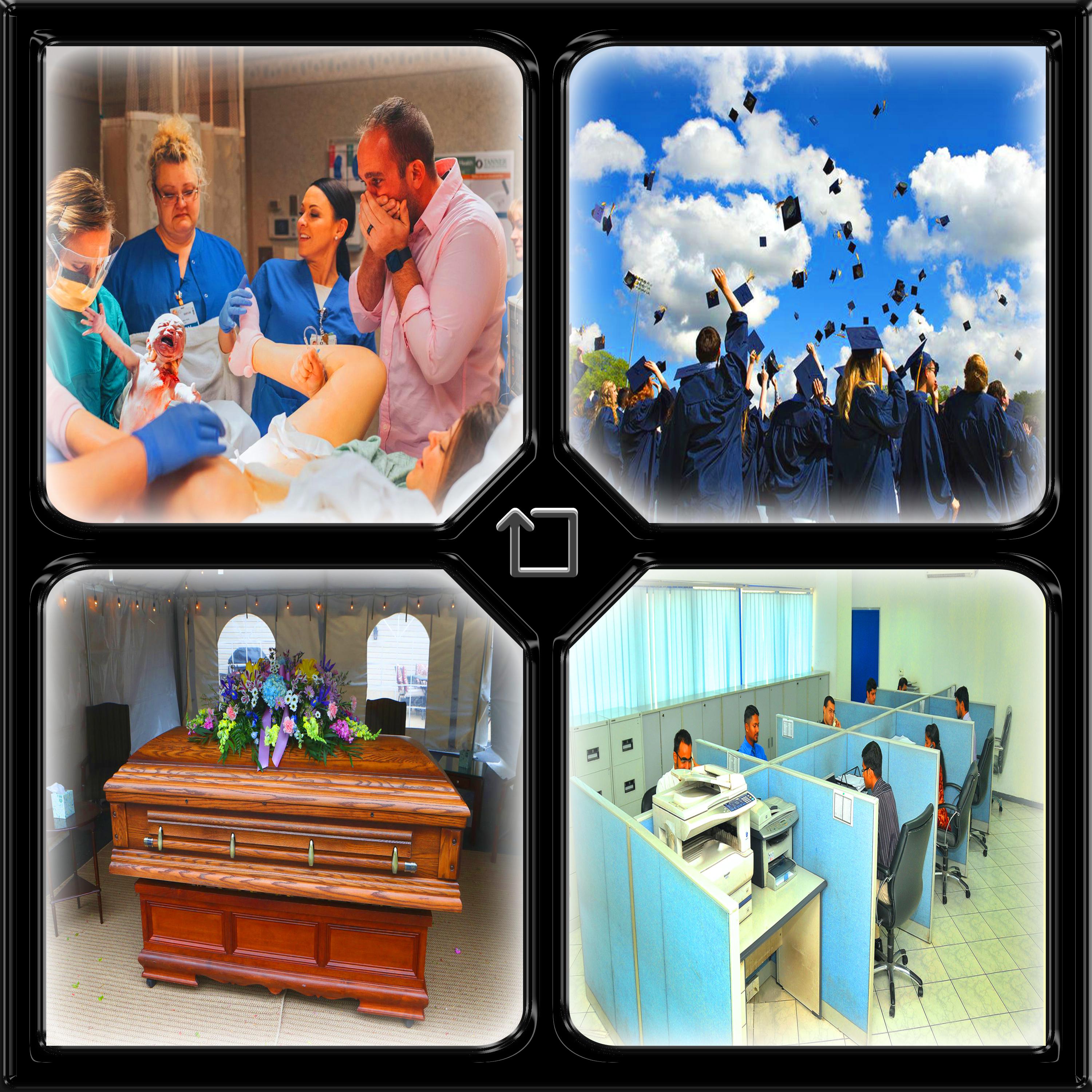 Cycle of Life | Scrolller