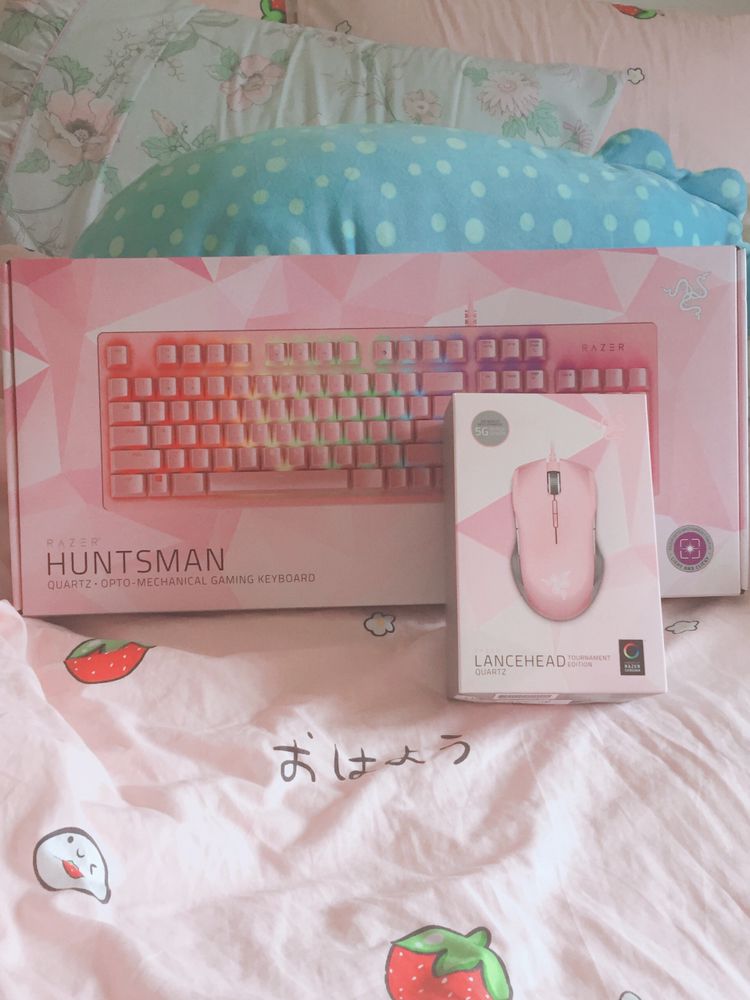 daddy bought me a new keyboard and mouse ♡ | Scrolller