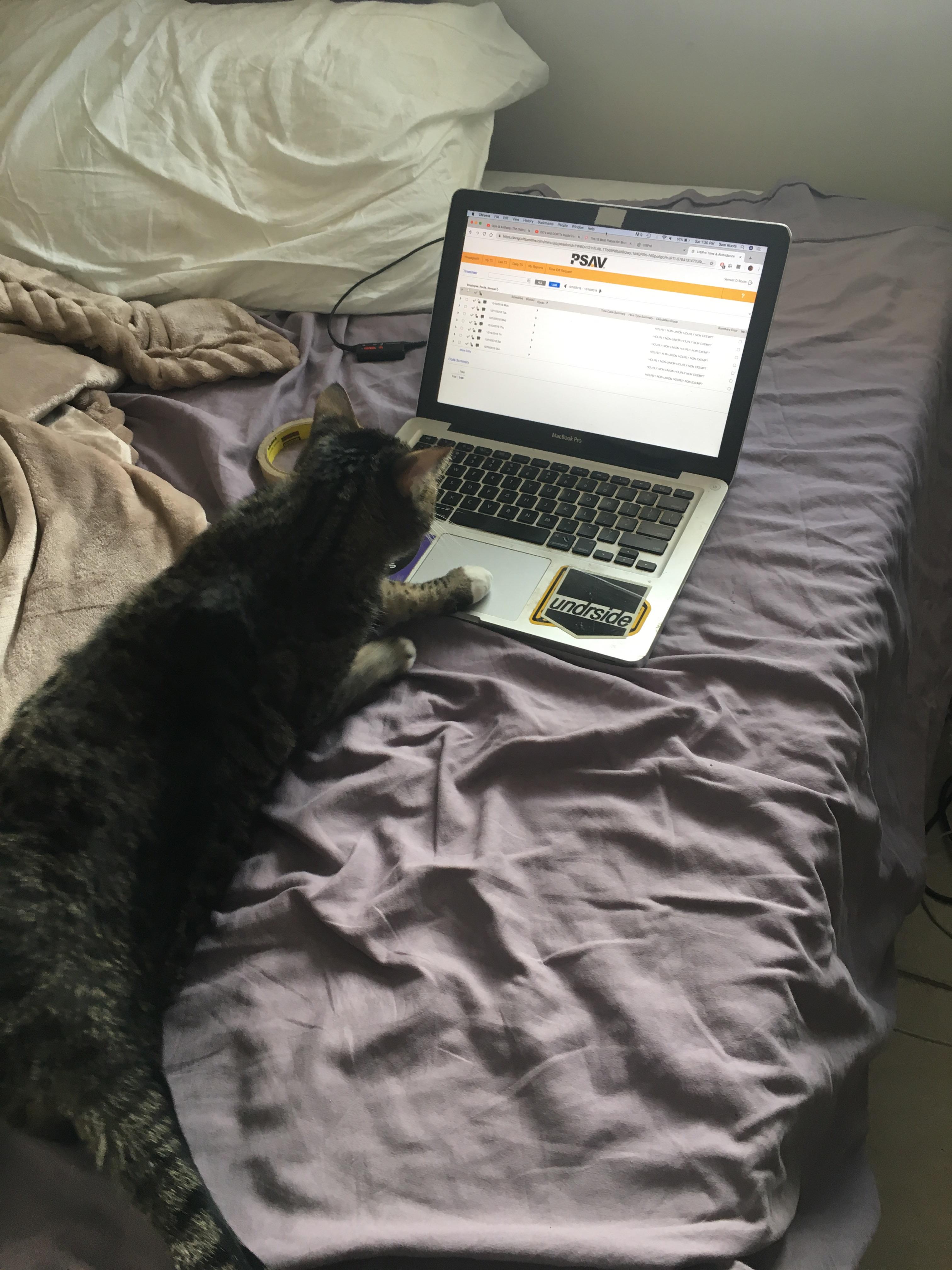 Daddy Needs Some Paid Time Off Scrolller