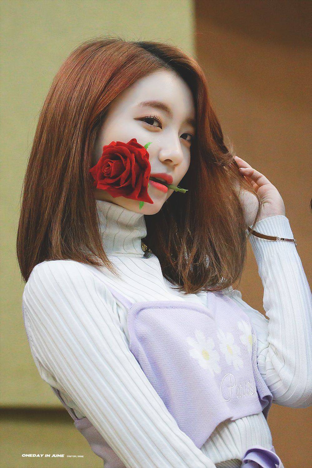 Daily Binnie #1063 - The Flower Blooms | Scrolller