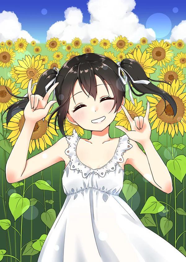 Daily Nico #299: sunflowers field. | Scrolller