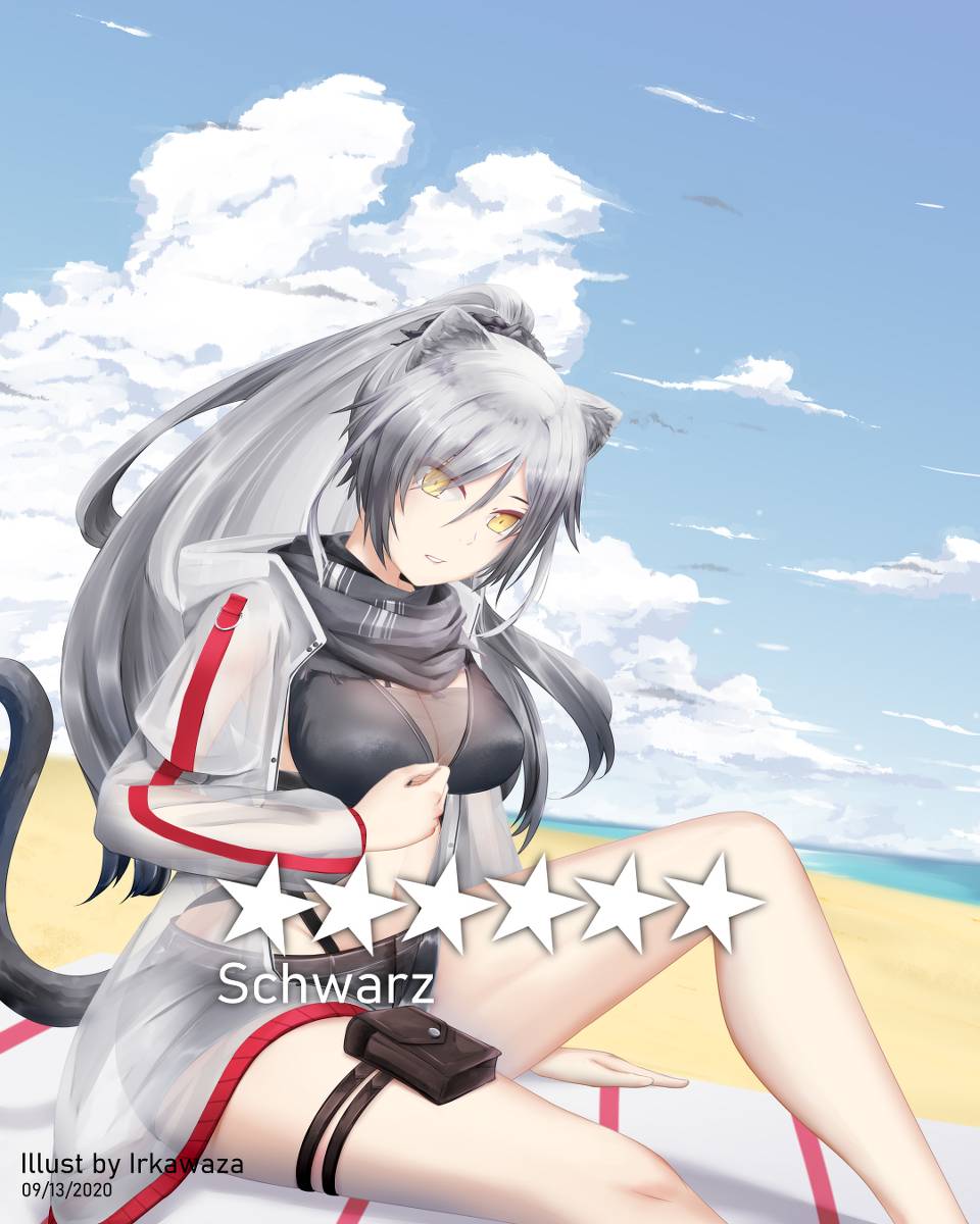 Daily Schwarz #12 | Scrolller