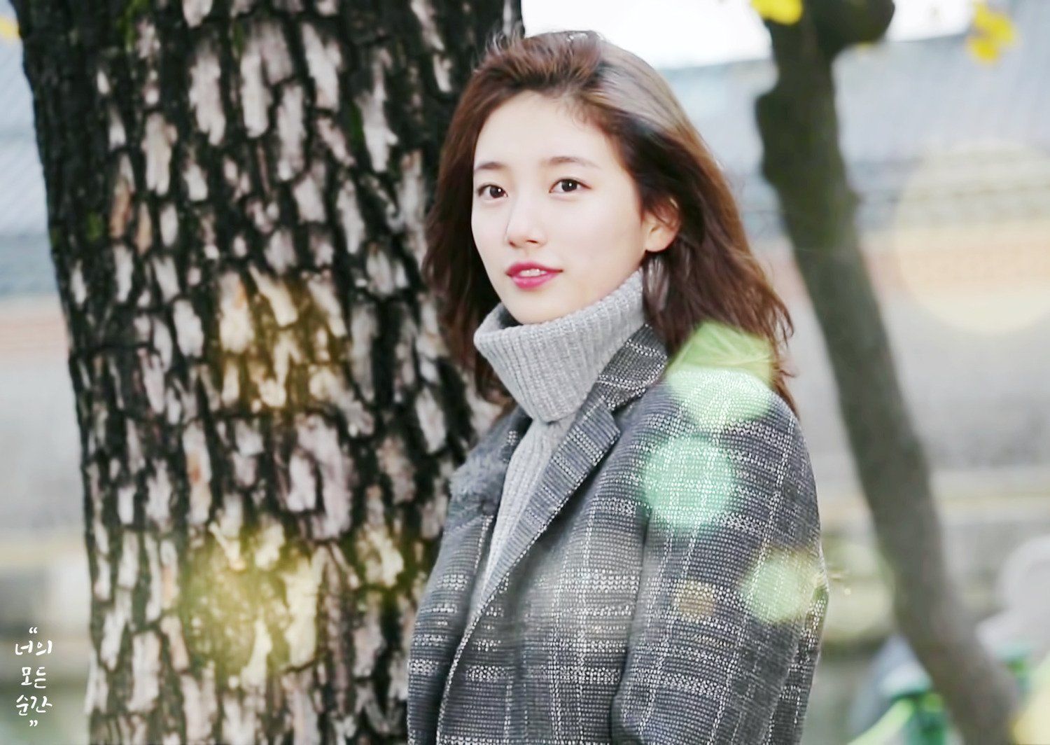 Daily Suzy #223 | Scrolller