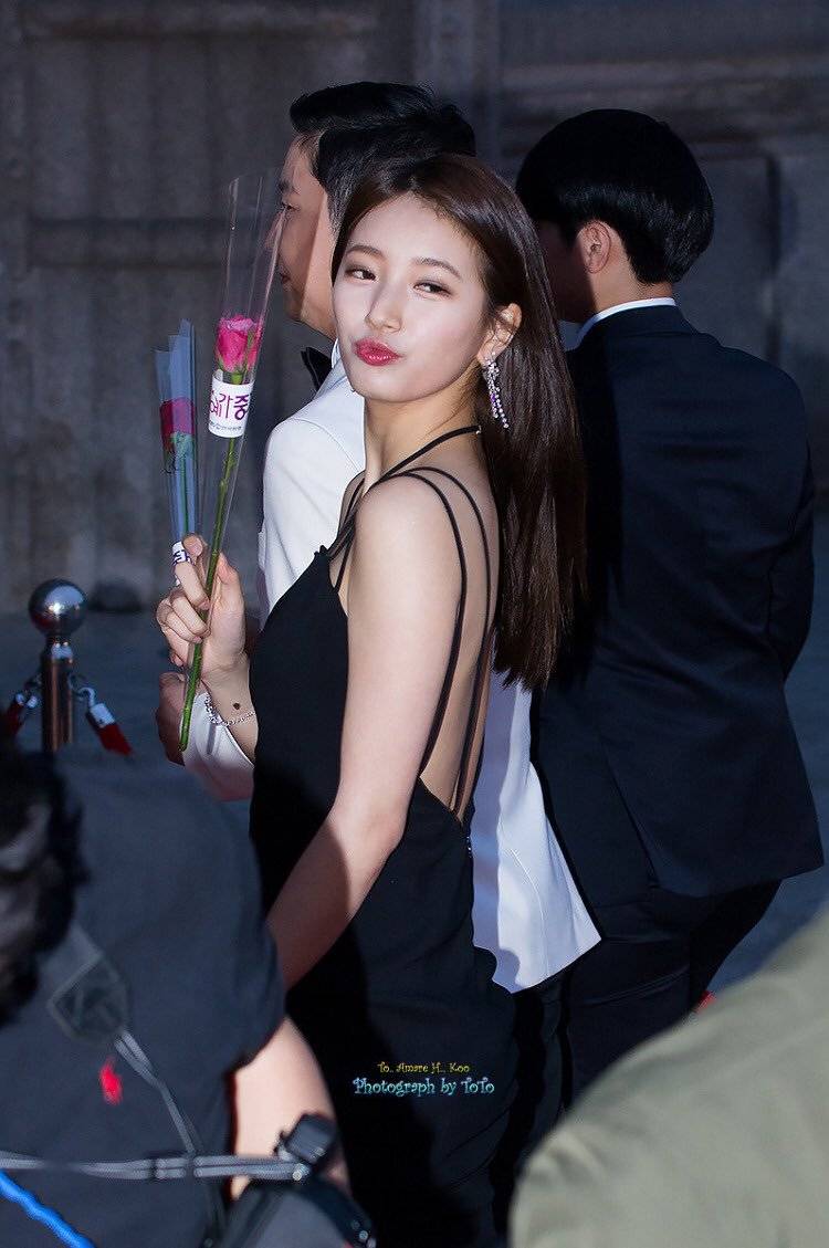 Daily Suzy #69 | Scrolller