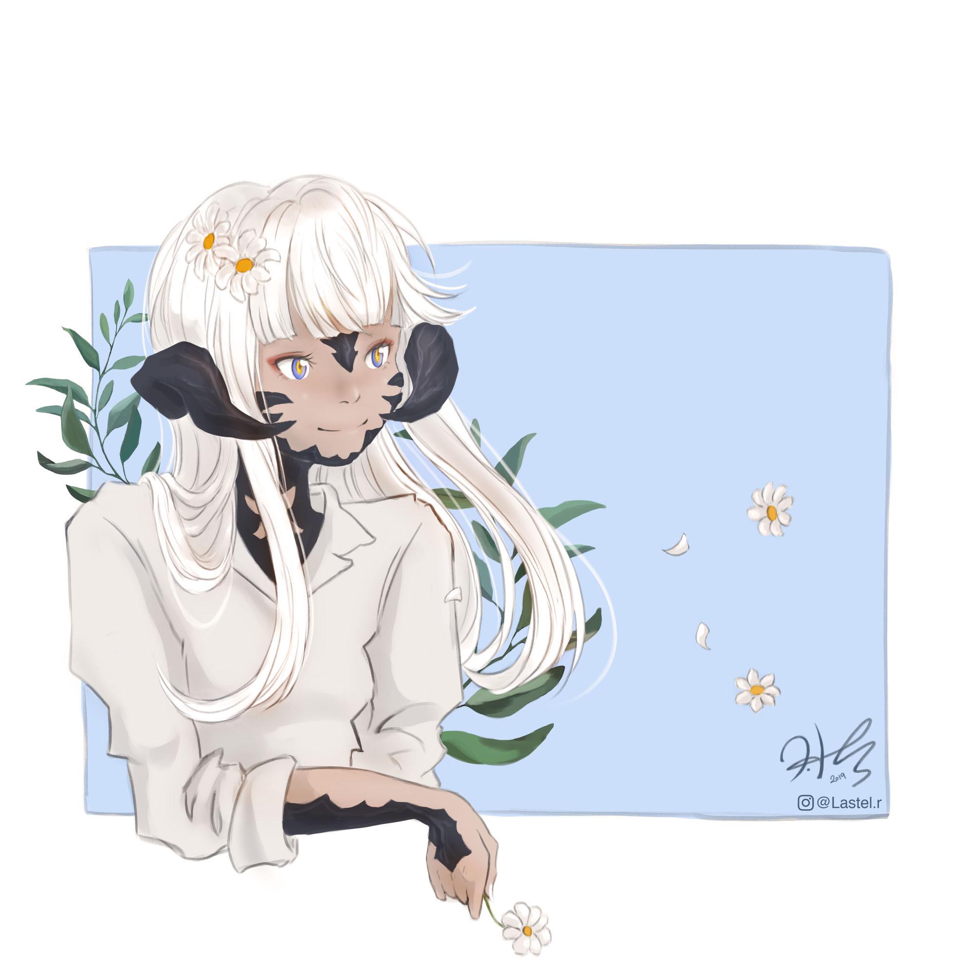 Daisy, Daisy | Scrolller