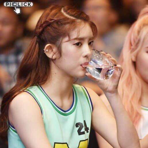 Daisy reminding everyone to stay hydrated Tuesdays | Scrolller