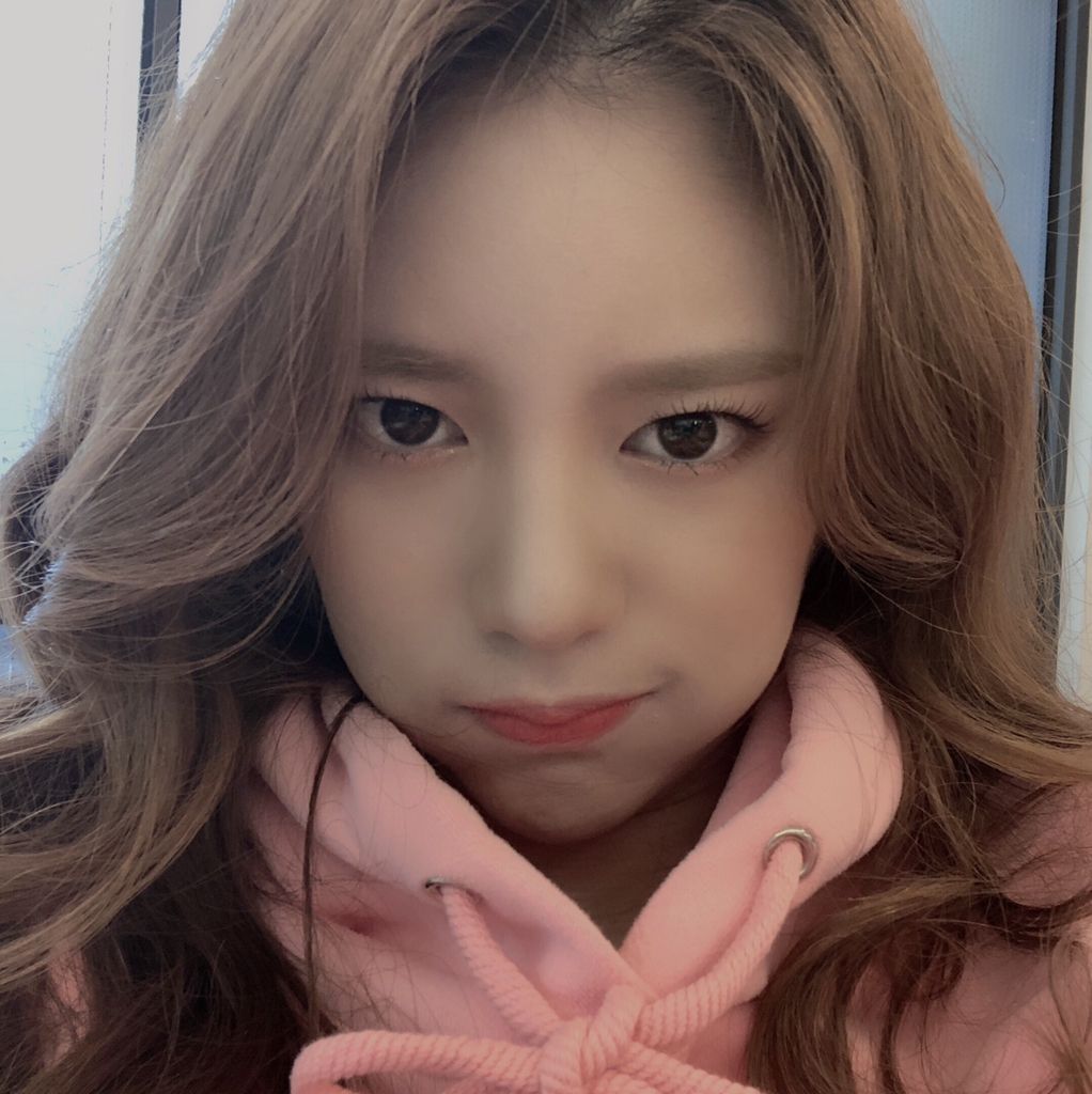 Daisy Tuesday | Scrolller