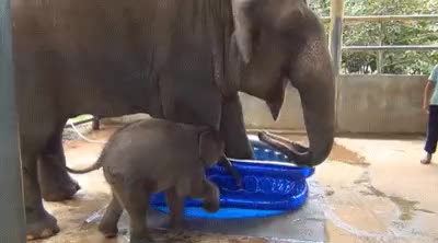 Dammit Mom, they didn't set it up for you! | Scrolller