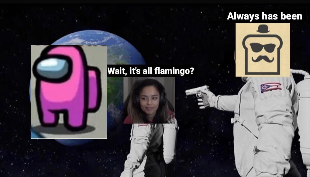 Damn it, flamingo | Scrolller