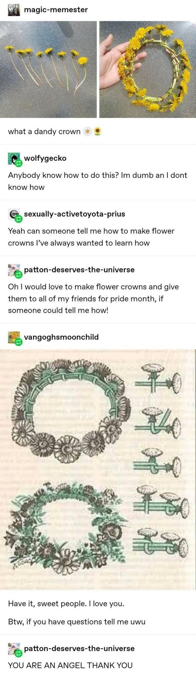 Dandelion crown 💖 | Scrolller