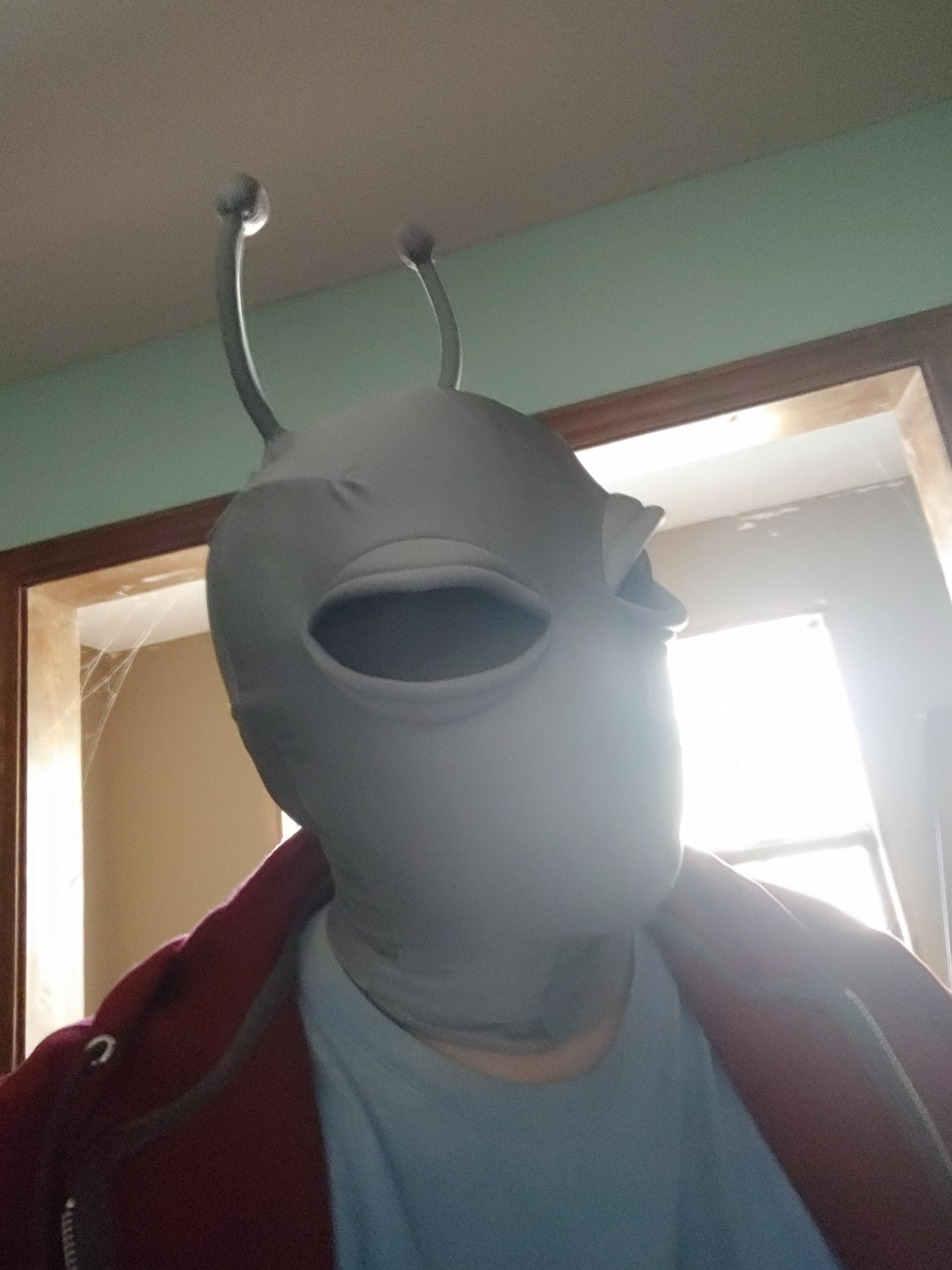 Dang ol' alien | Scrolller