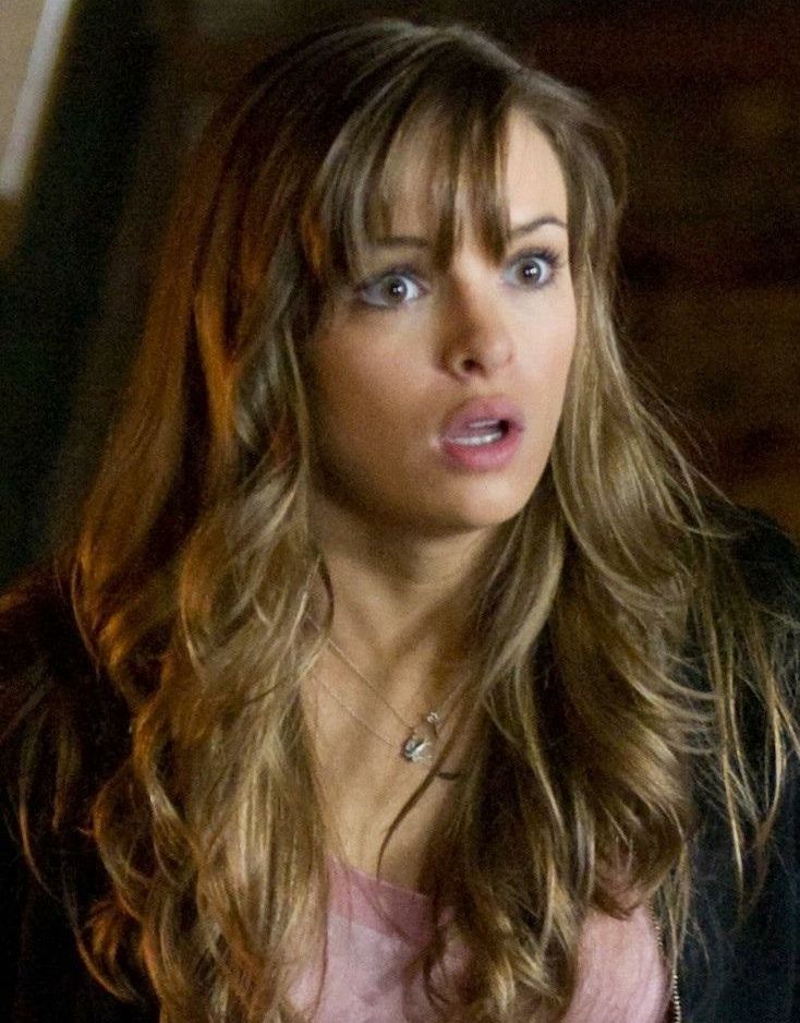 Danielle Panabaker | Scrolller