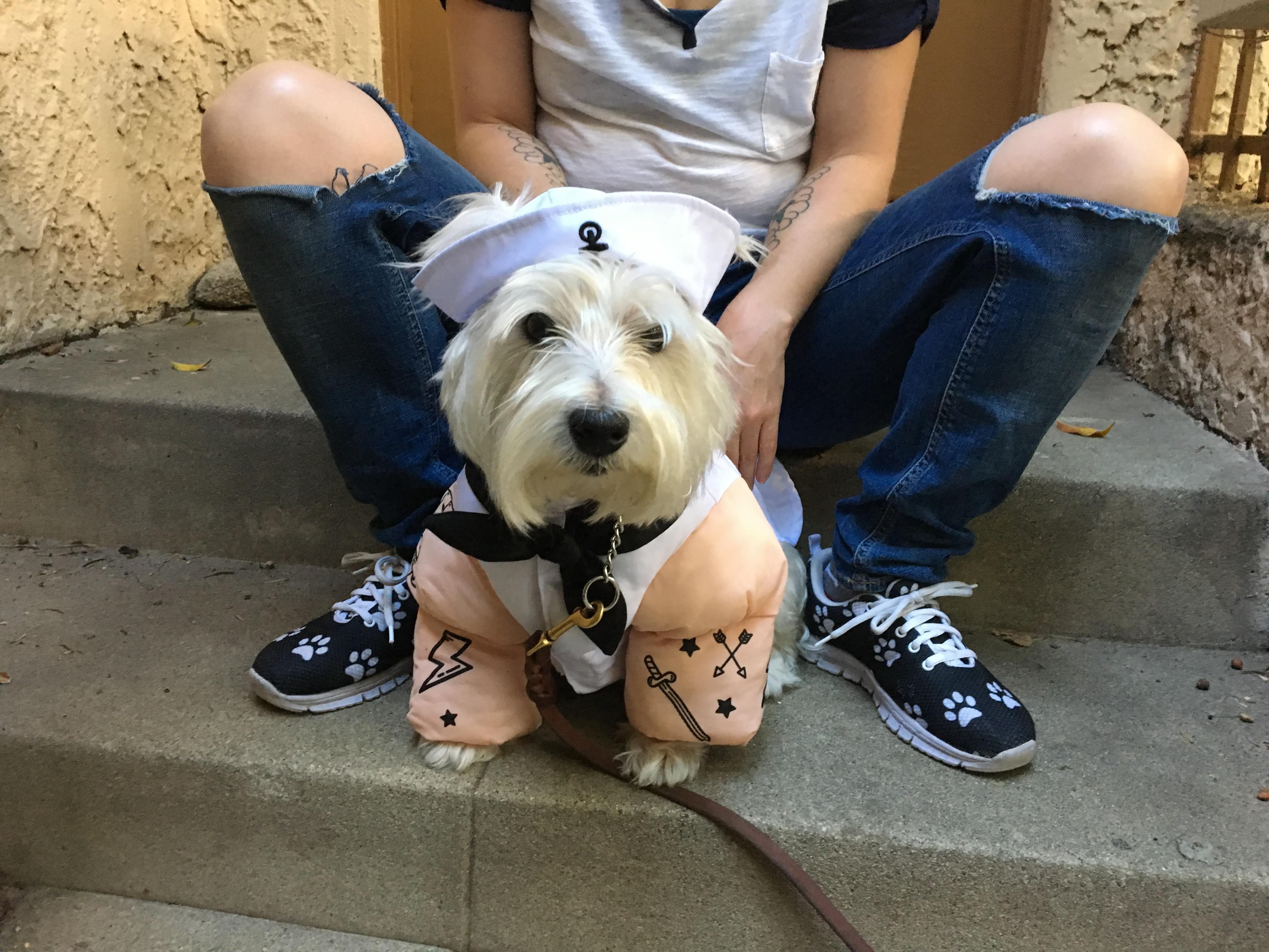 Darcy the sailor man boop boop! | Scrolller