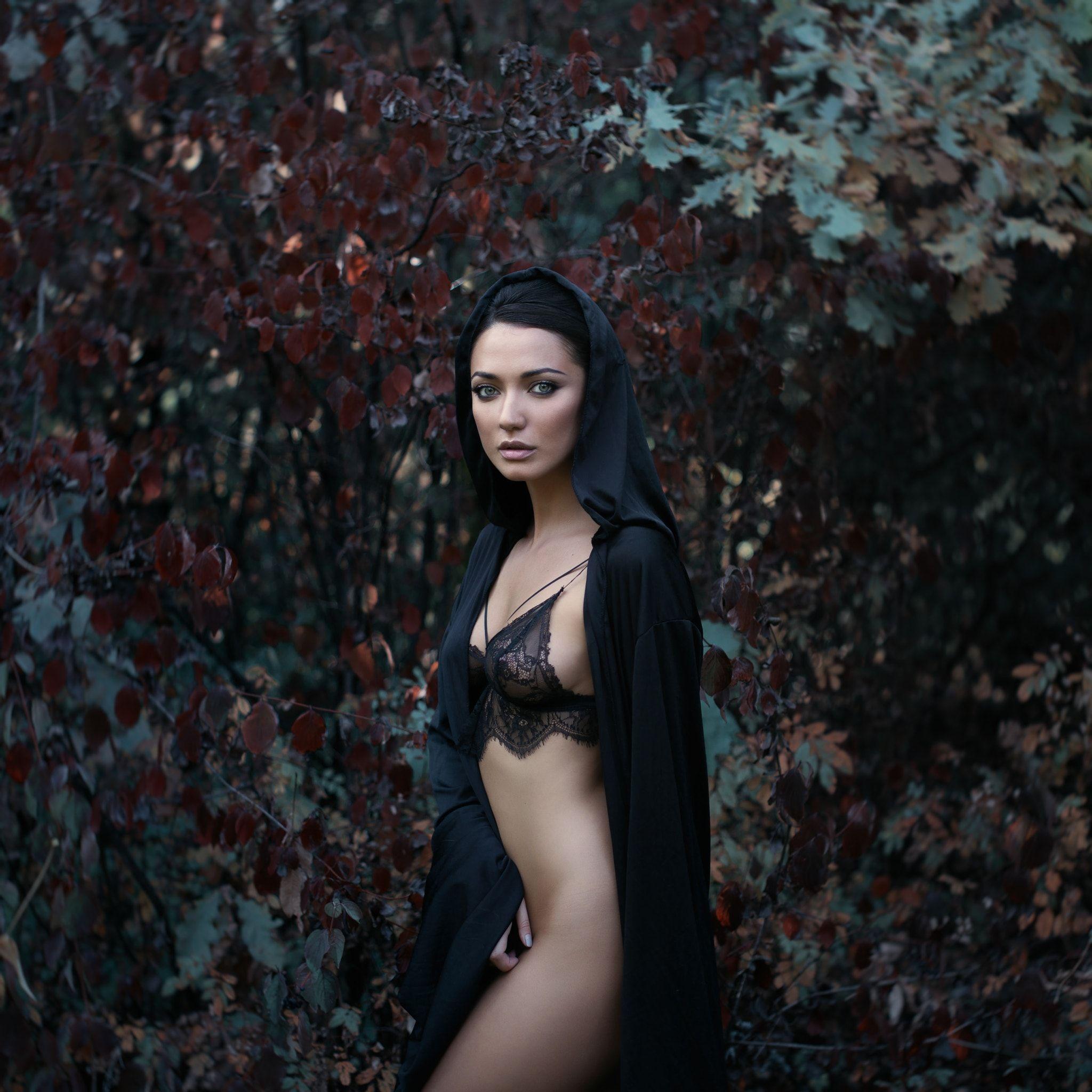 Dark forest | Scrolller