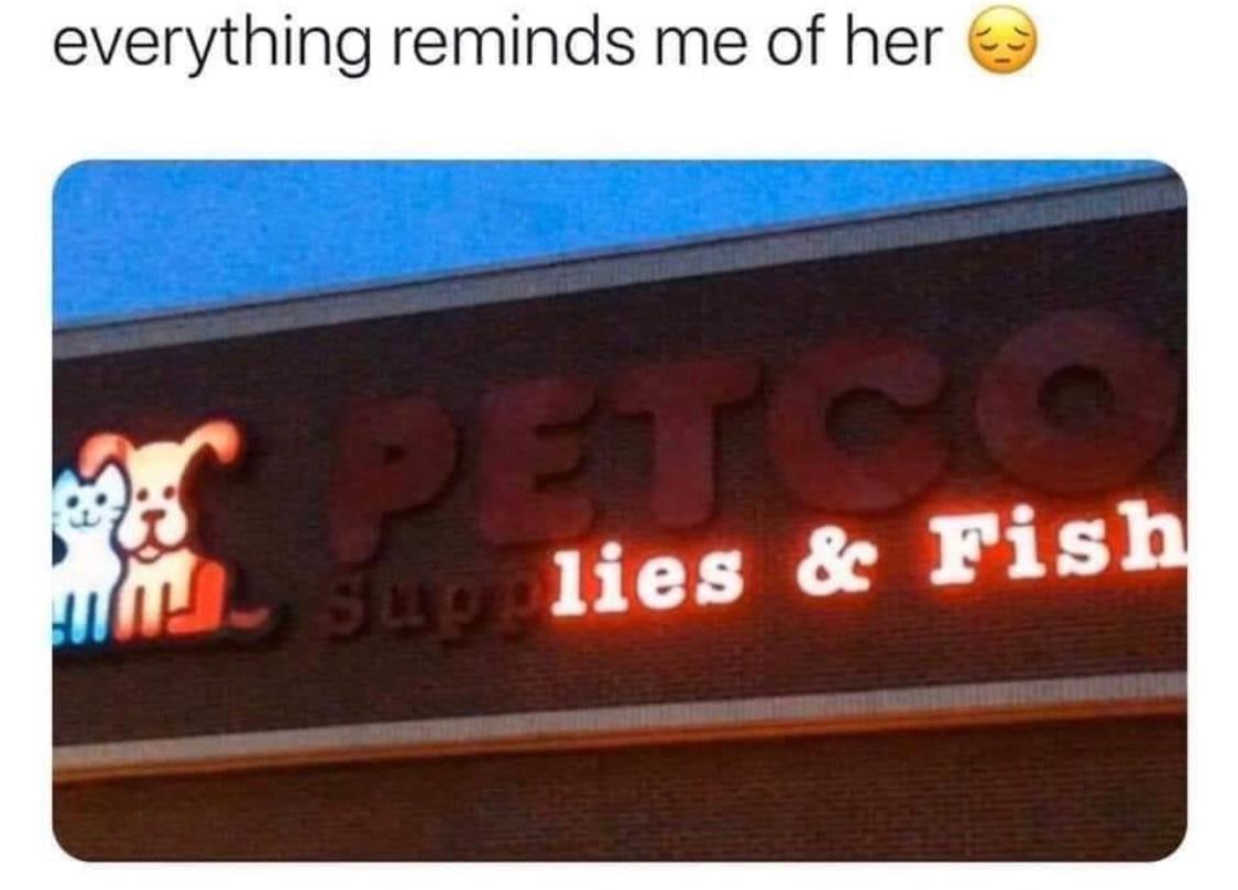 Das a good meme. | Scrolller