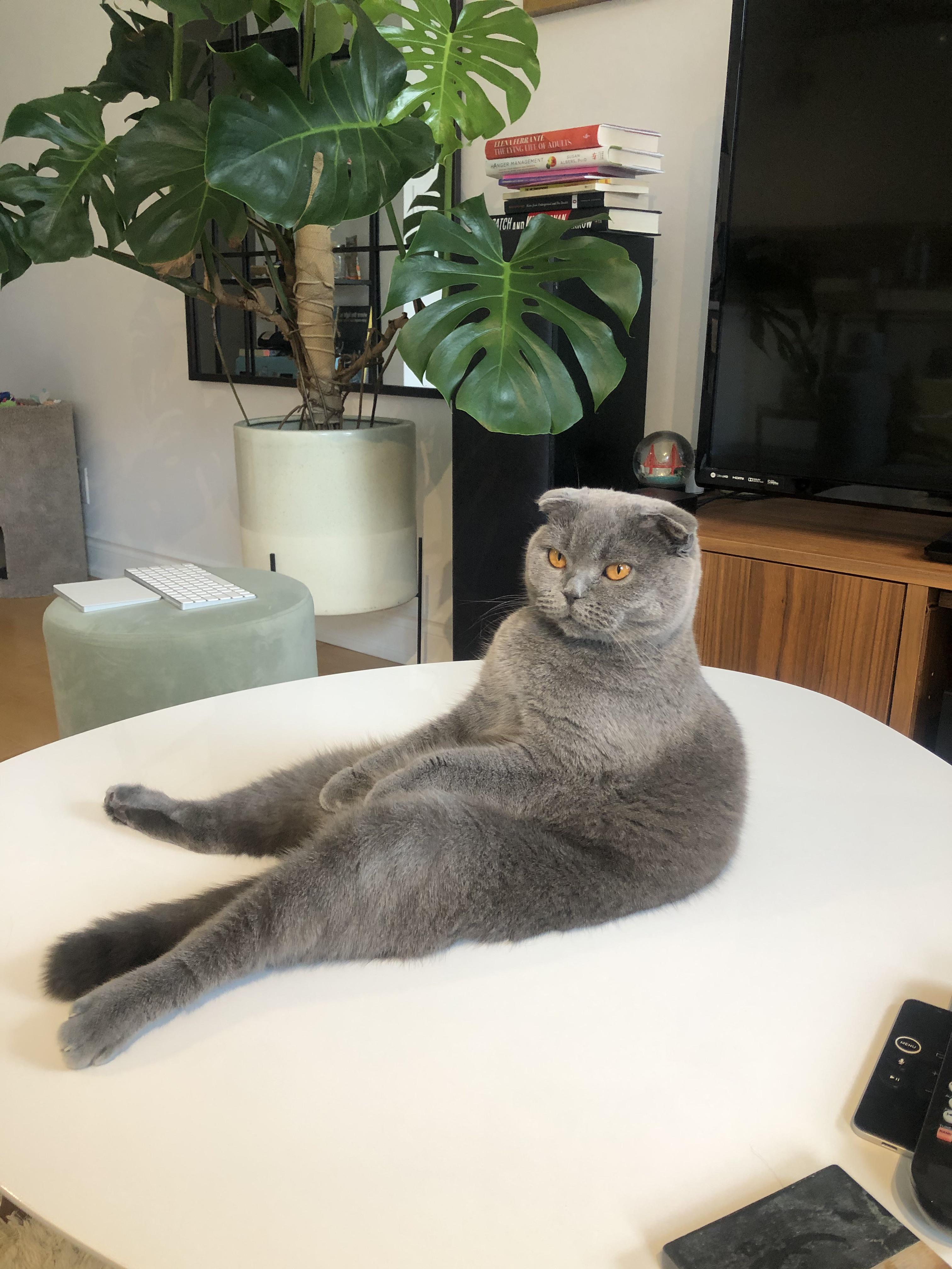 Dasha in flop | Scrolller