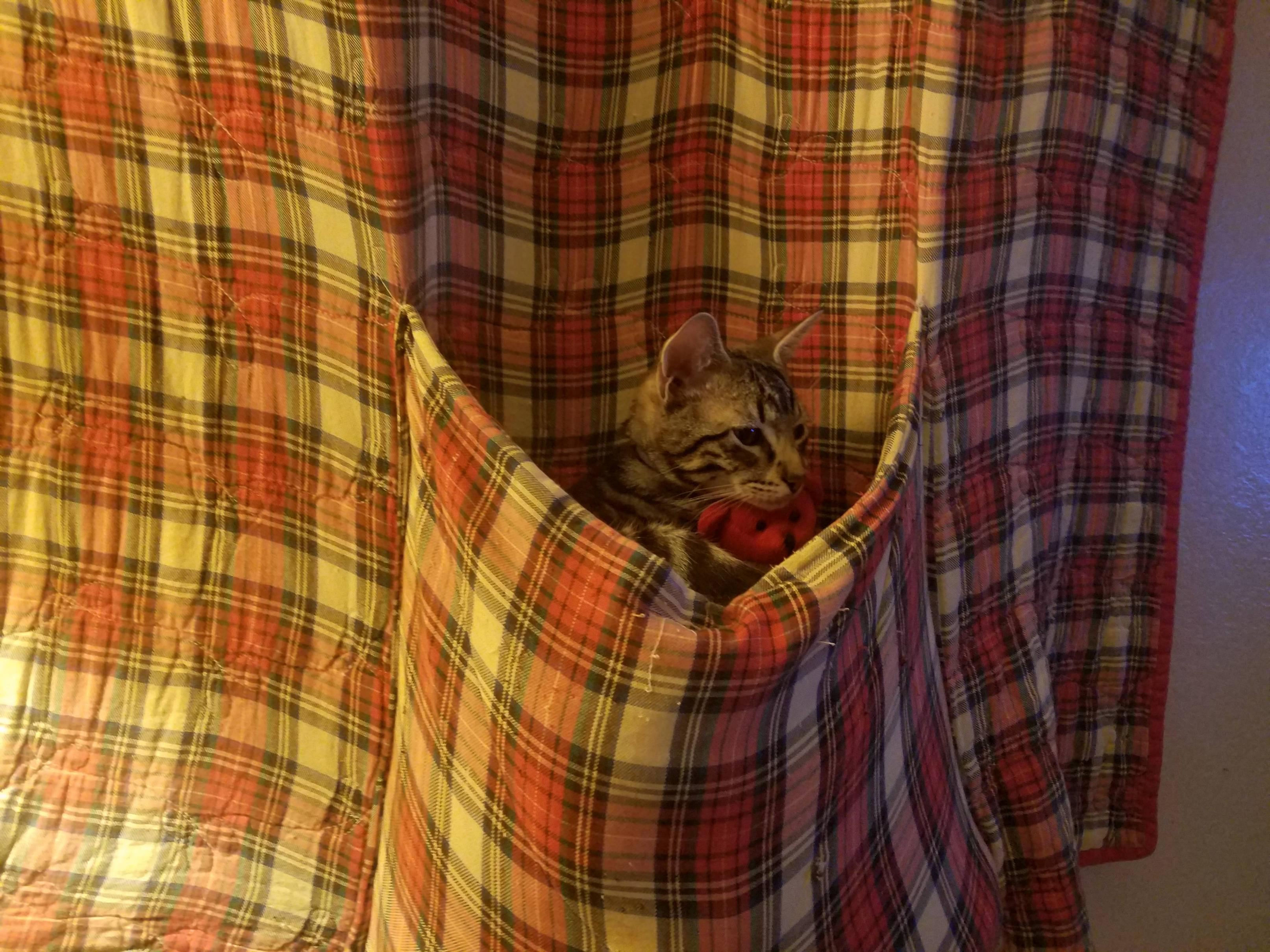 Dat teddy doe | Scrolller