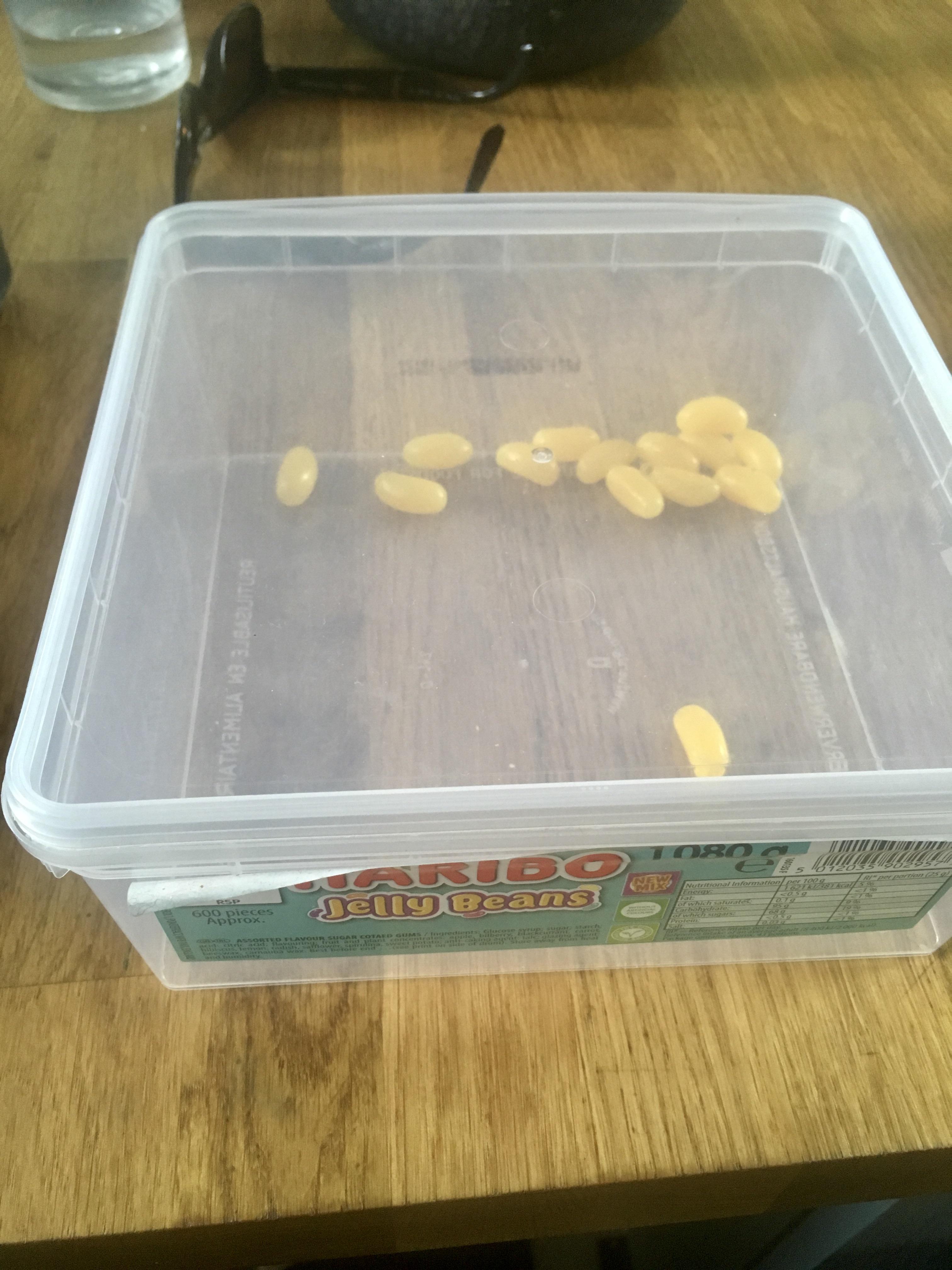 Data_irl | Scrolller