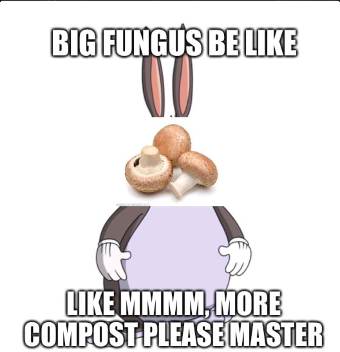 (day 57) | Scrolller