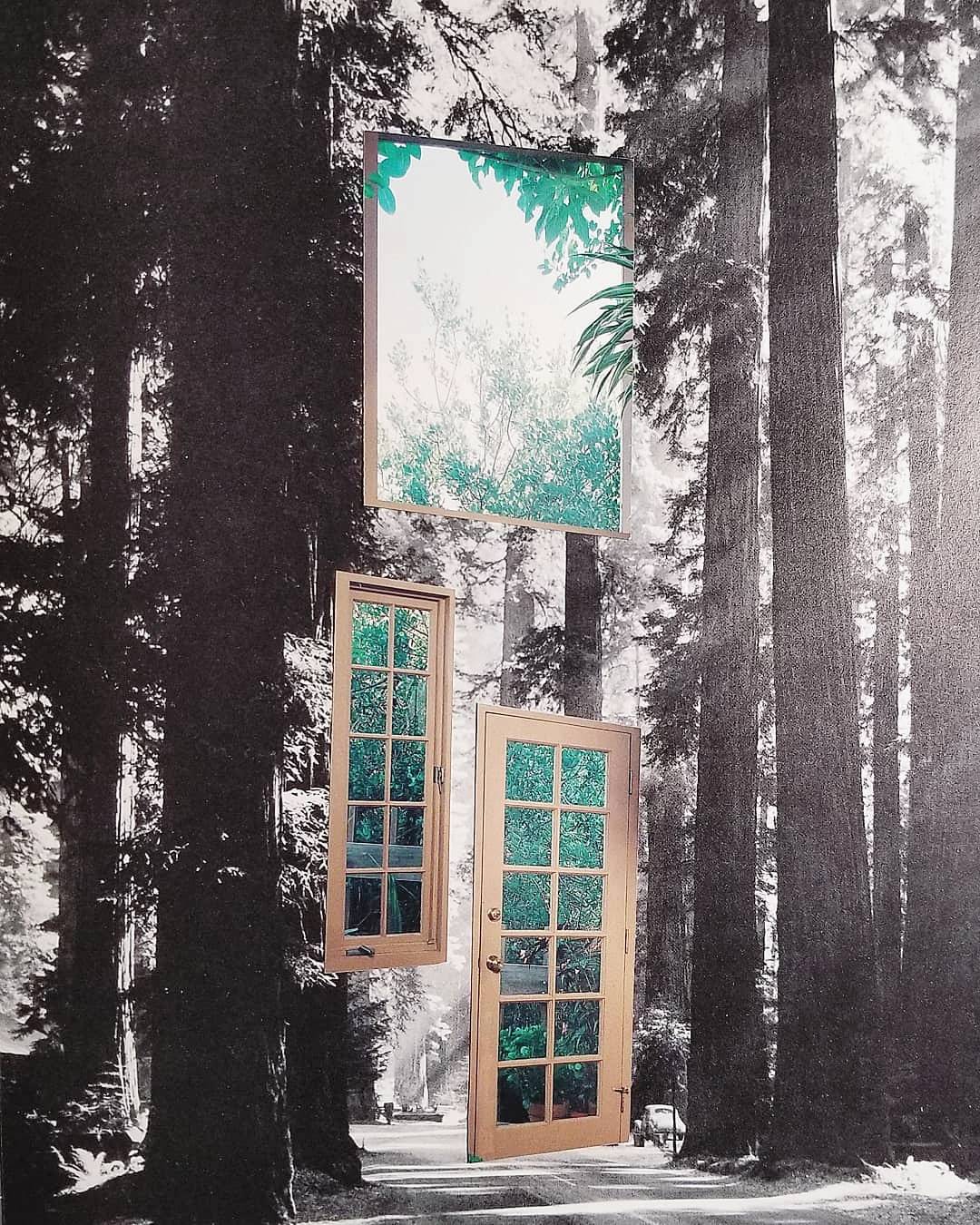 Day trip [analog] | Scrolller