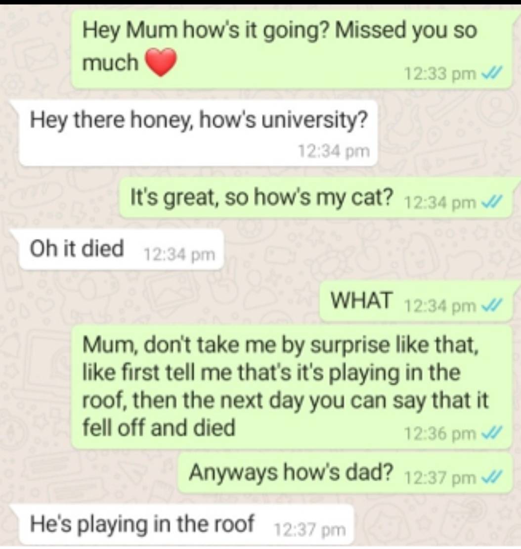 dead cat and dad | Scrolller