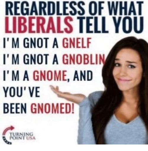 dear libs | Scrolller