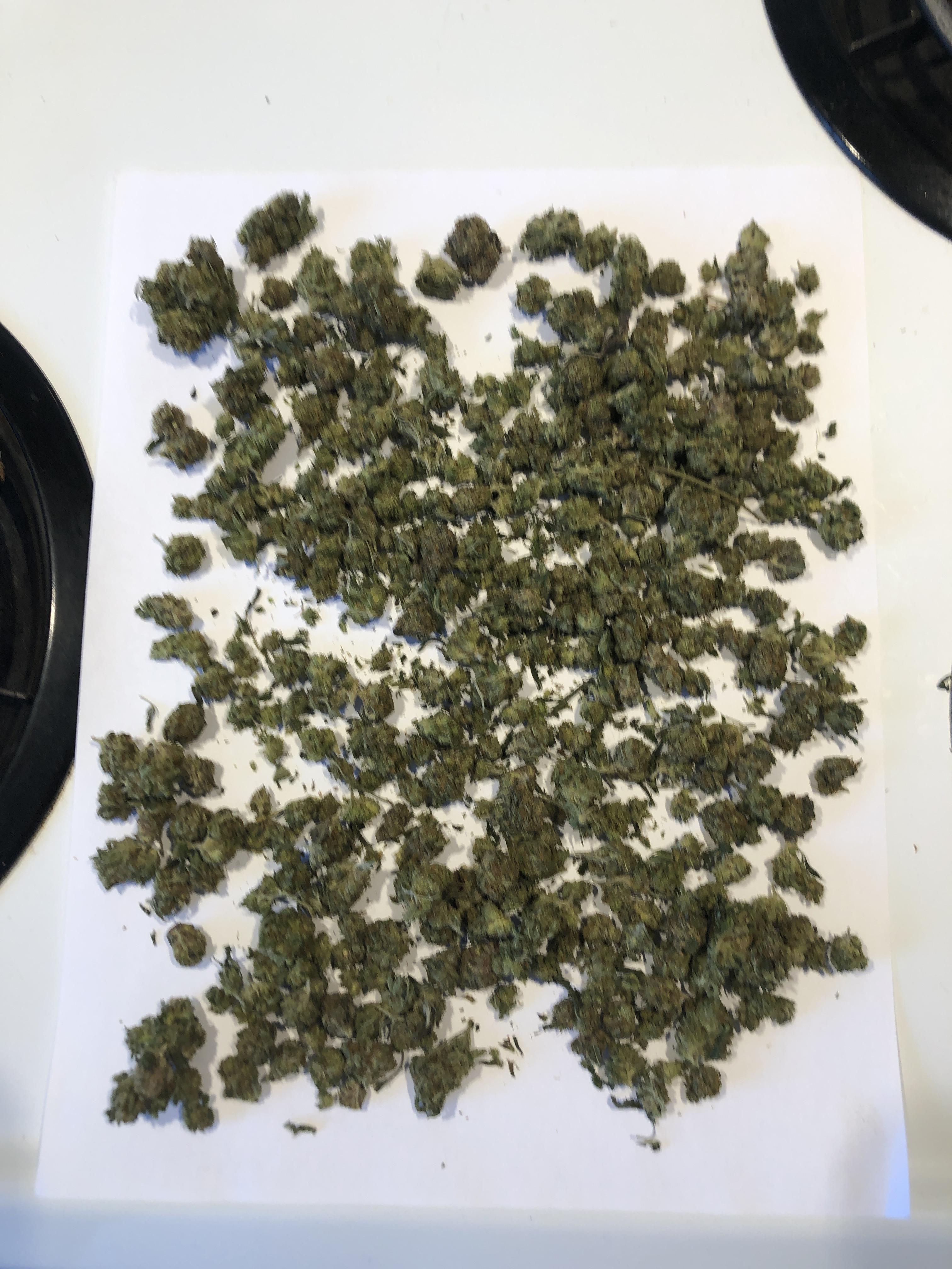 Death Bubba popcorn garbage Blowout420 June 2020 | Scrolller