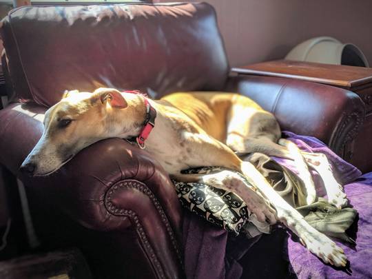 Decadence. | Scrolller