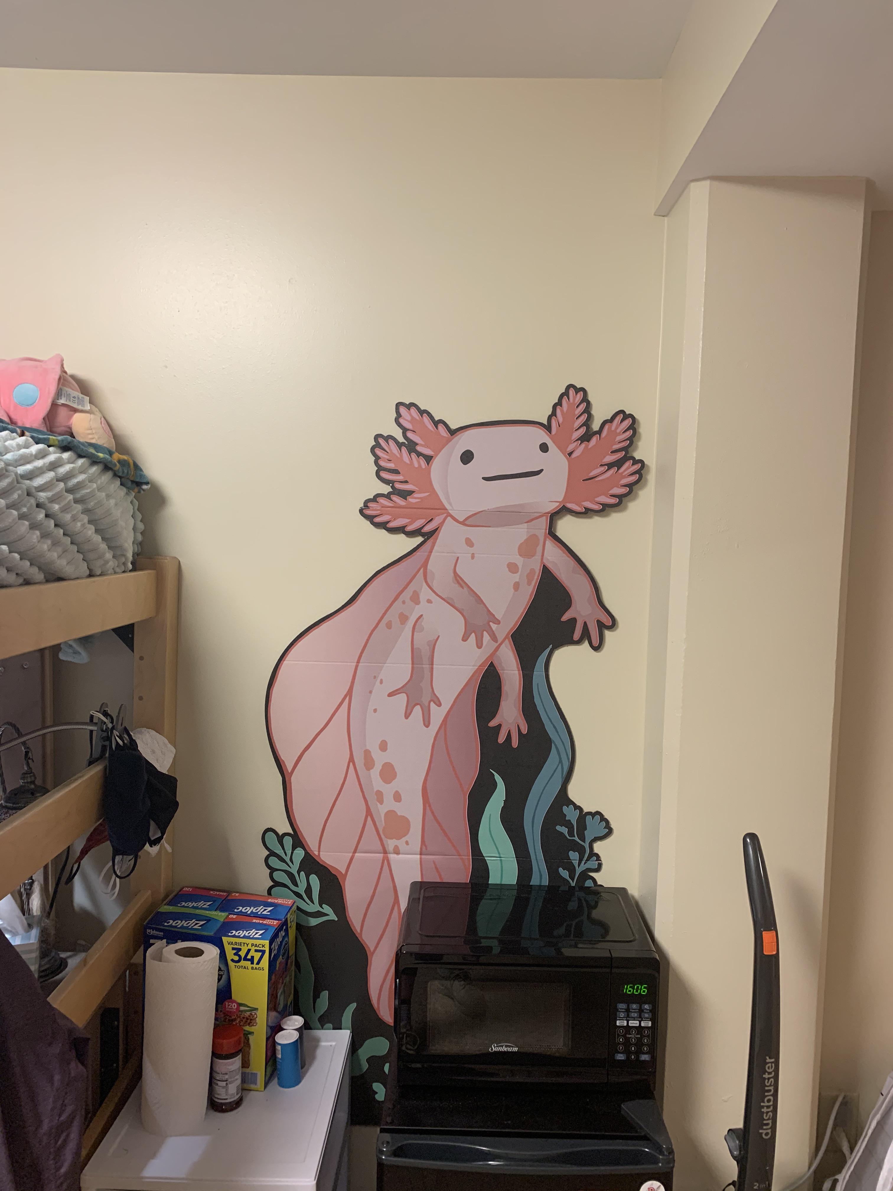 Decorating my dorm room! | Scrolller