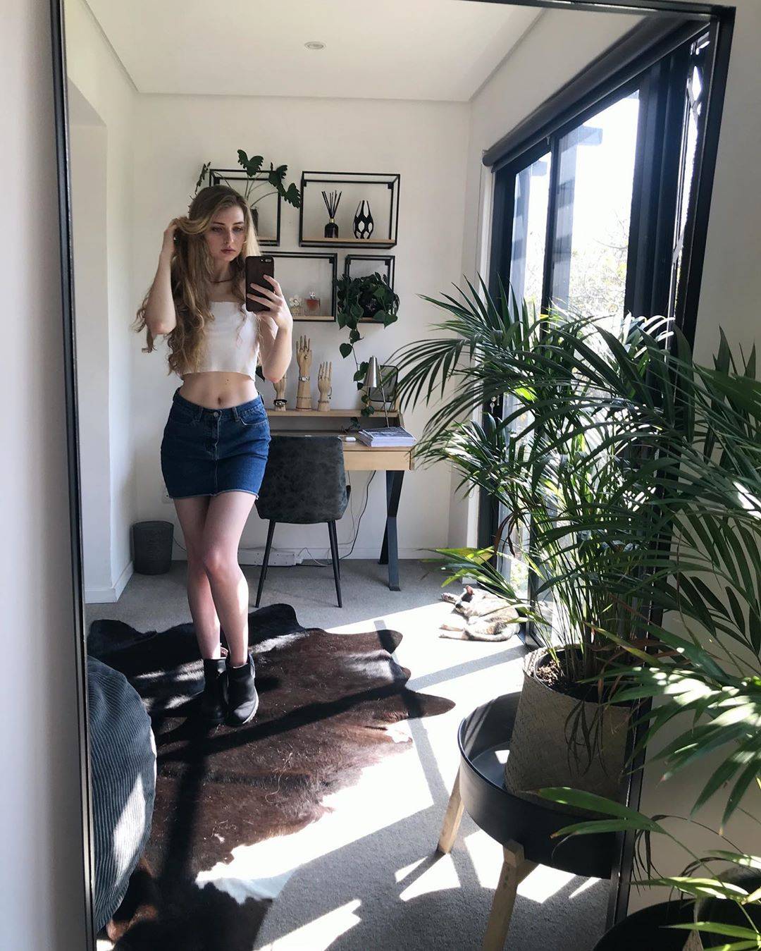 decorative | Scrolller