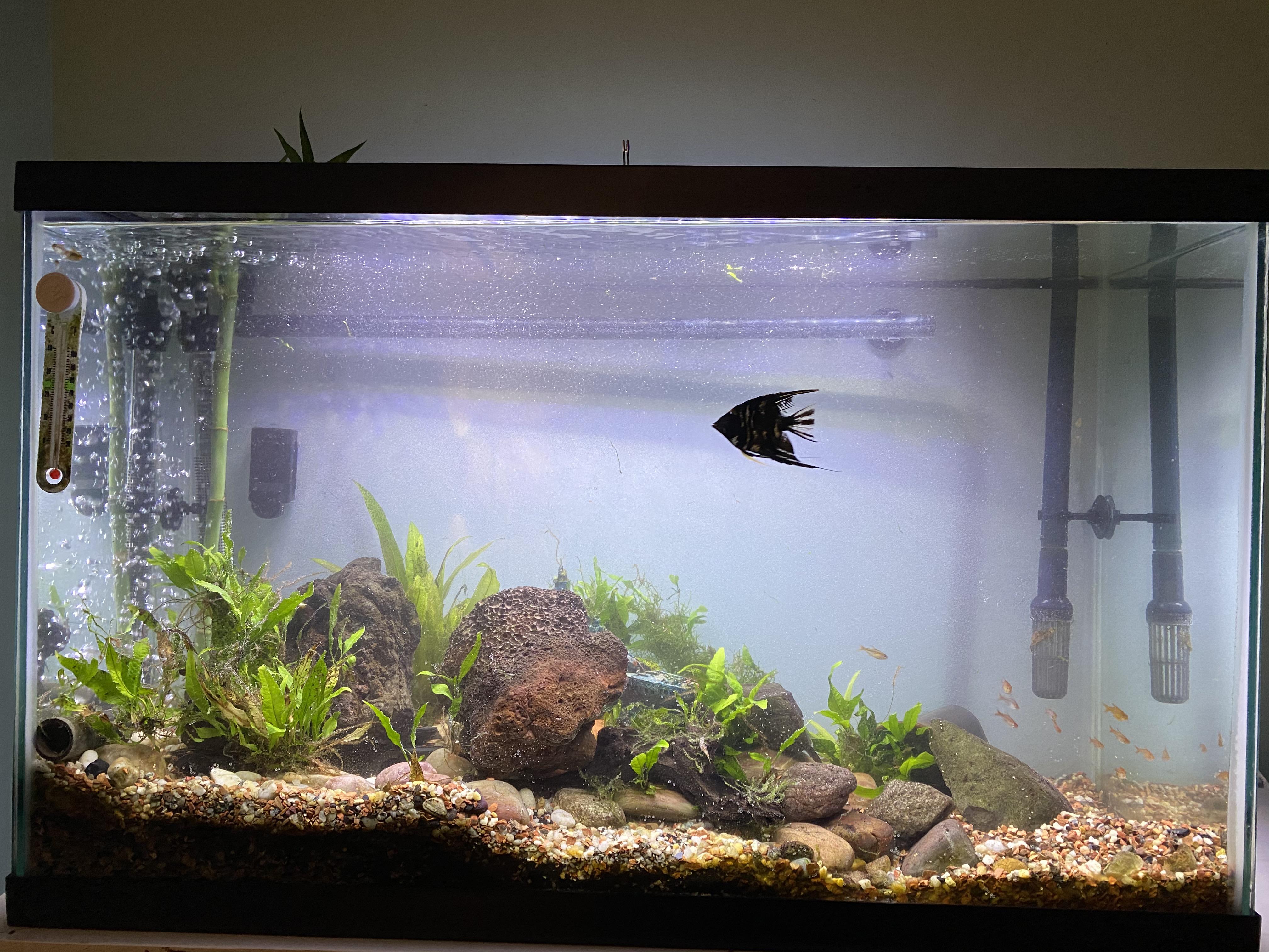 Deep cleaning day! | Scrolller