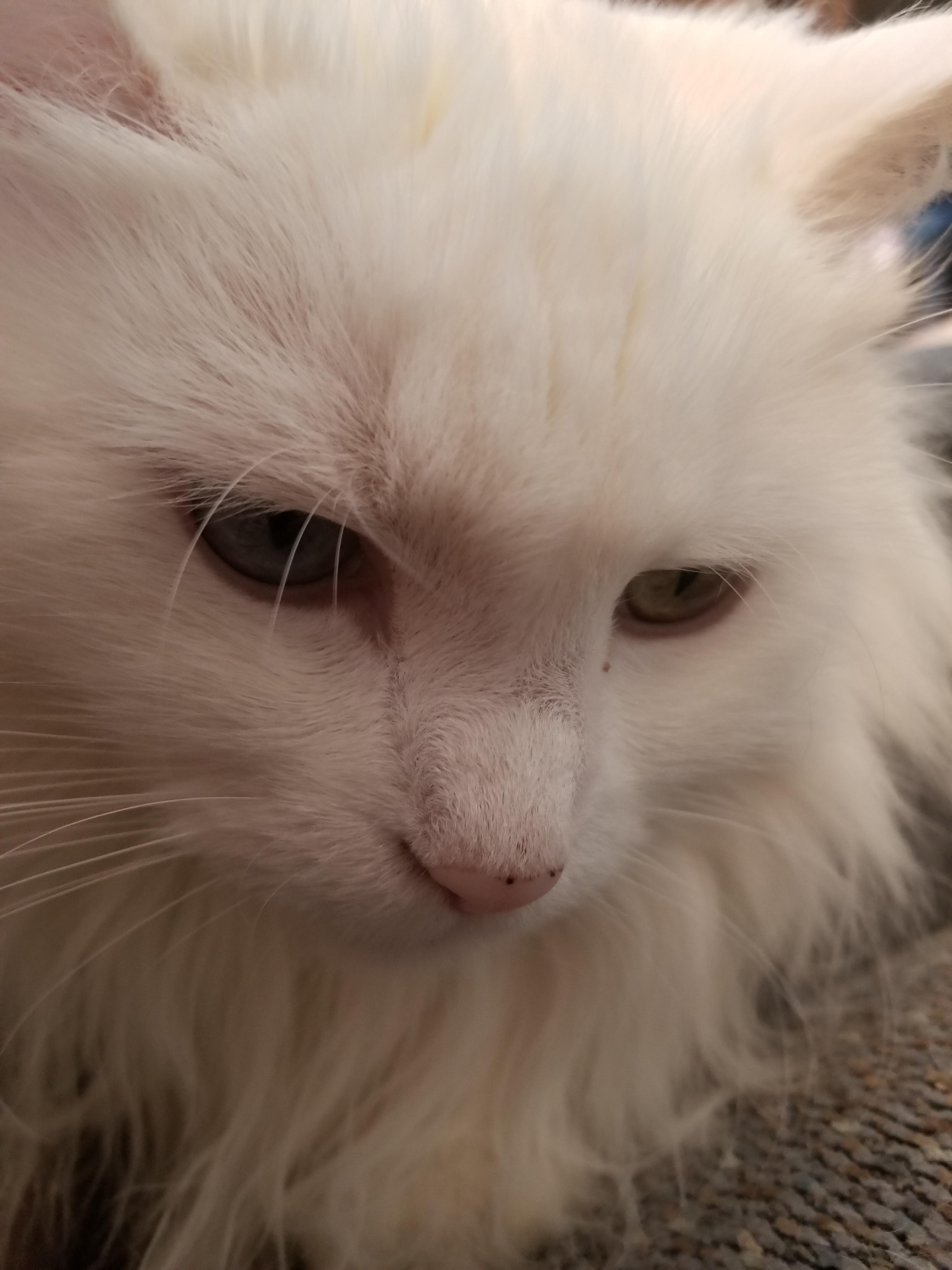 Deep in thought... | Scrolller