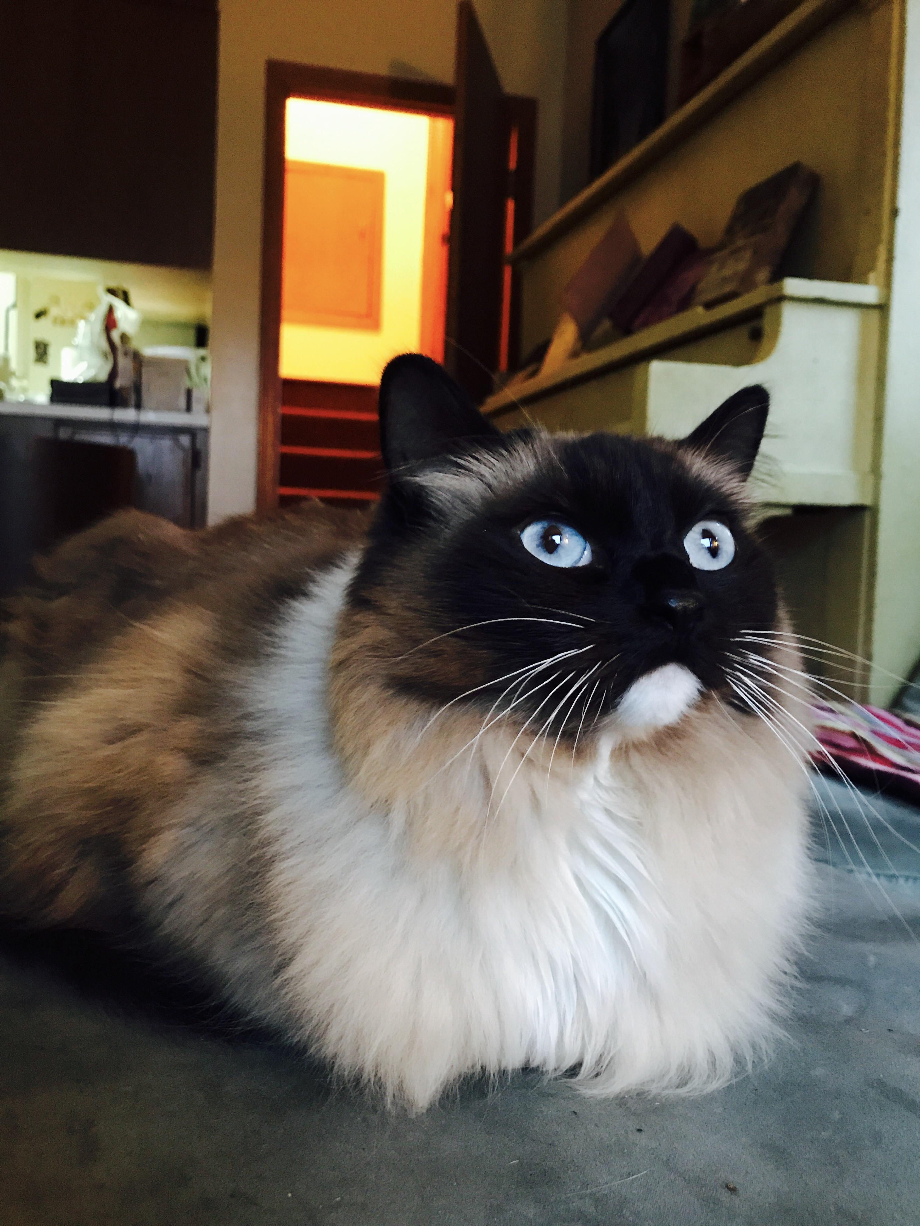 Deep in thought.... | Scrolller