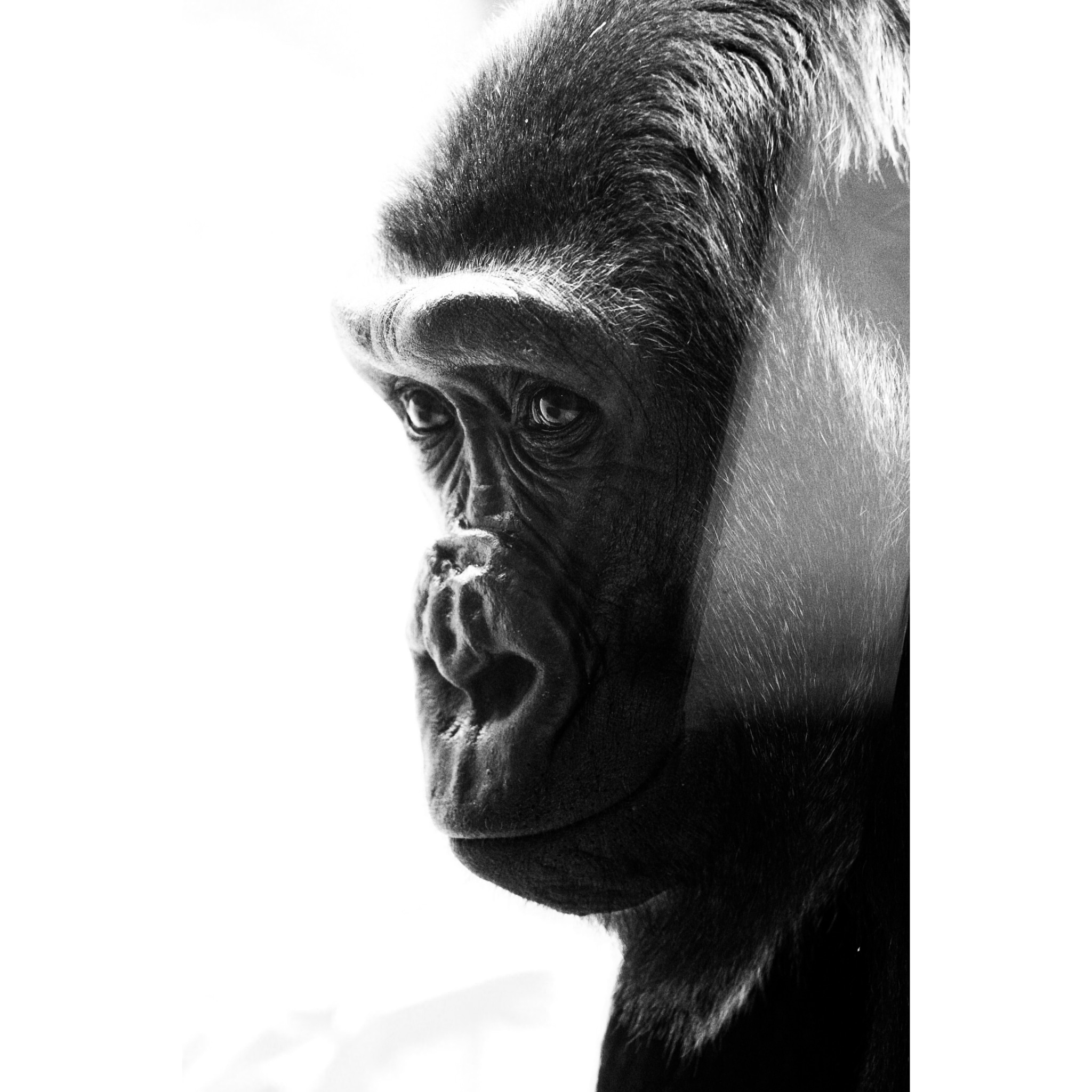 Deep in thought | Scrolller