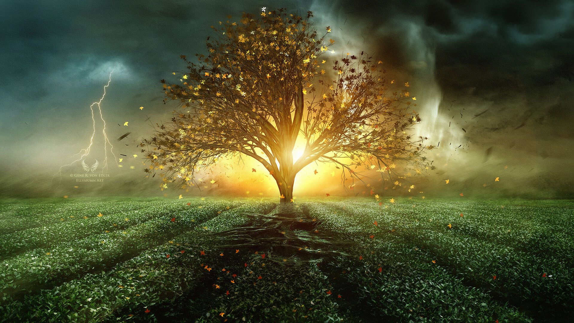 Deep Roots by Gene Raz von Edler | Scrolller