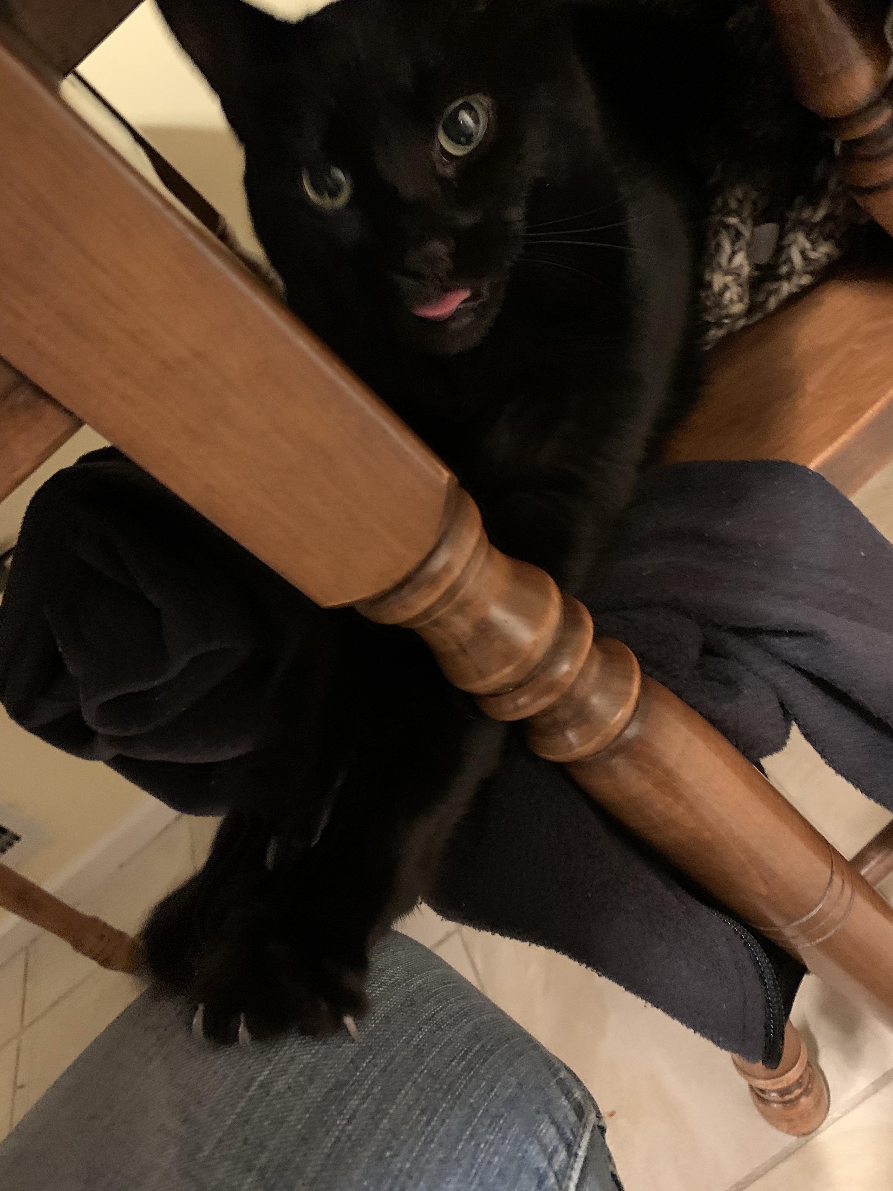 Derpy Pix | Scrolller