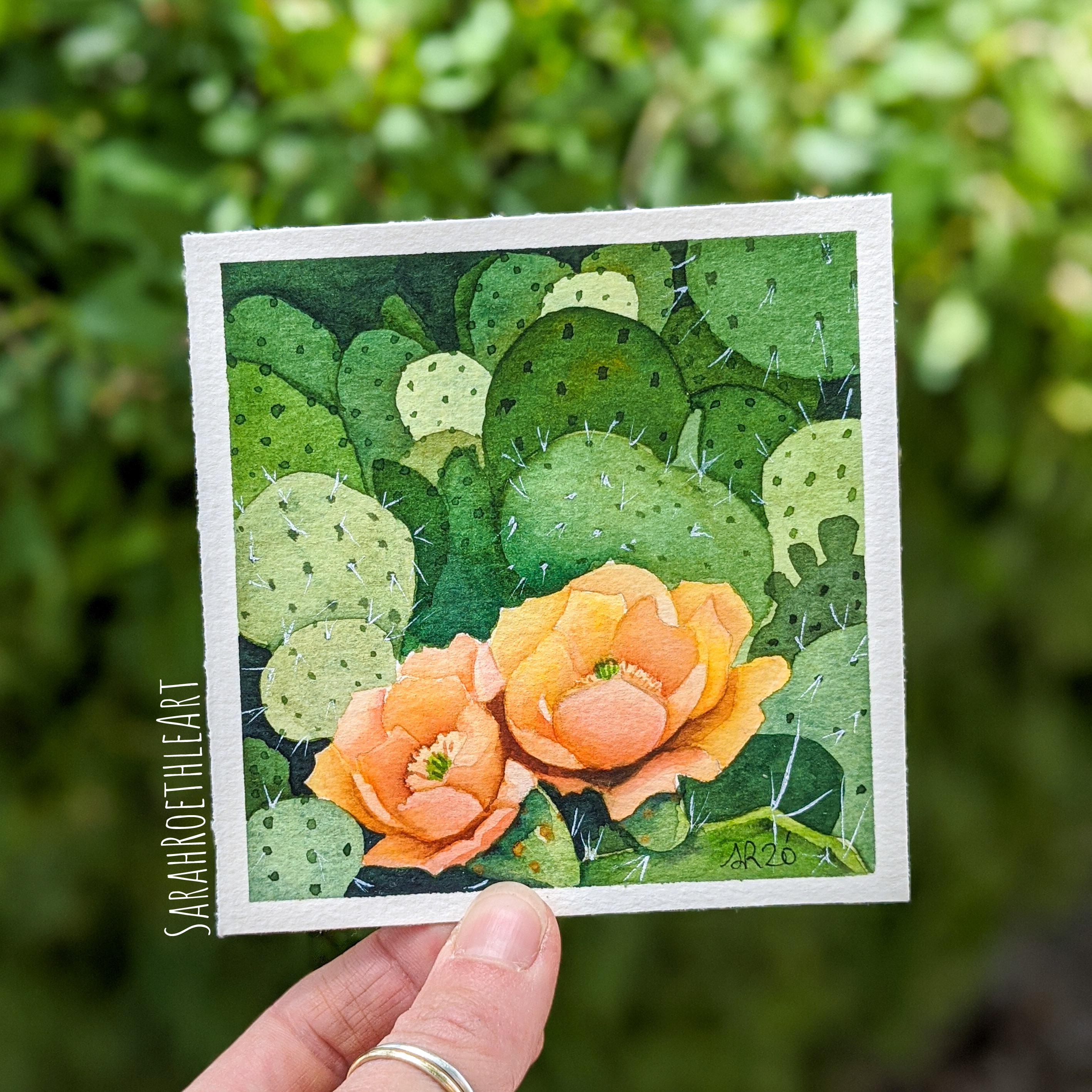 Desert Cactus Bloom | Scrolller