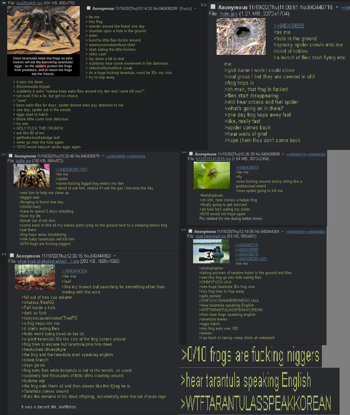 Did you know tarantulas can have frogs as pets? | Scrolller