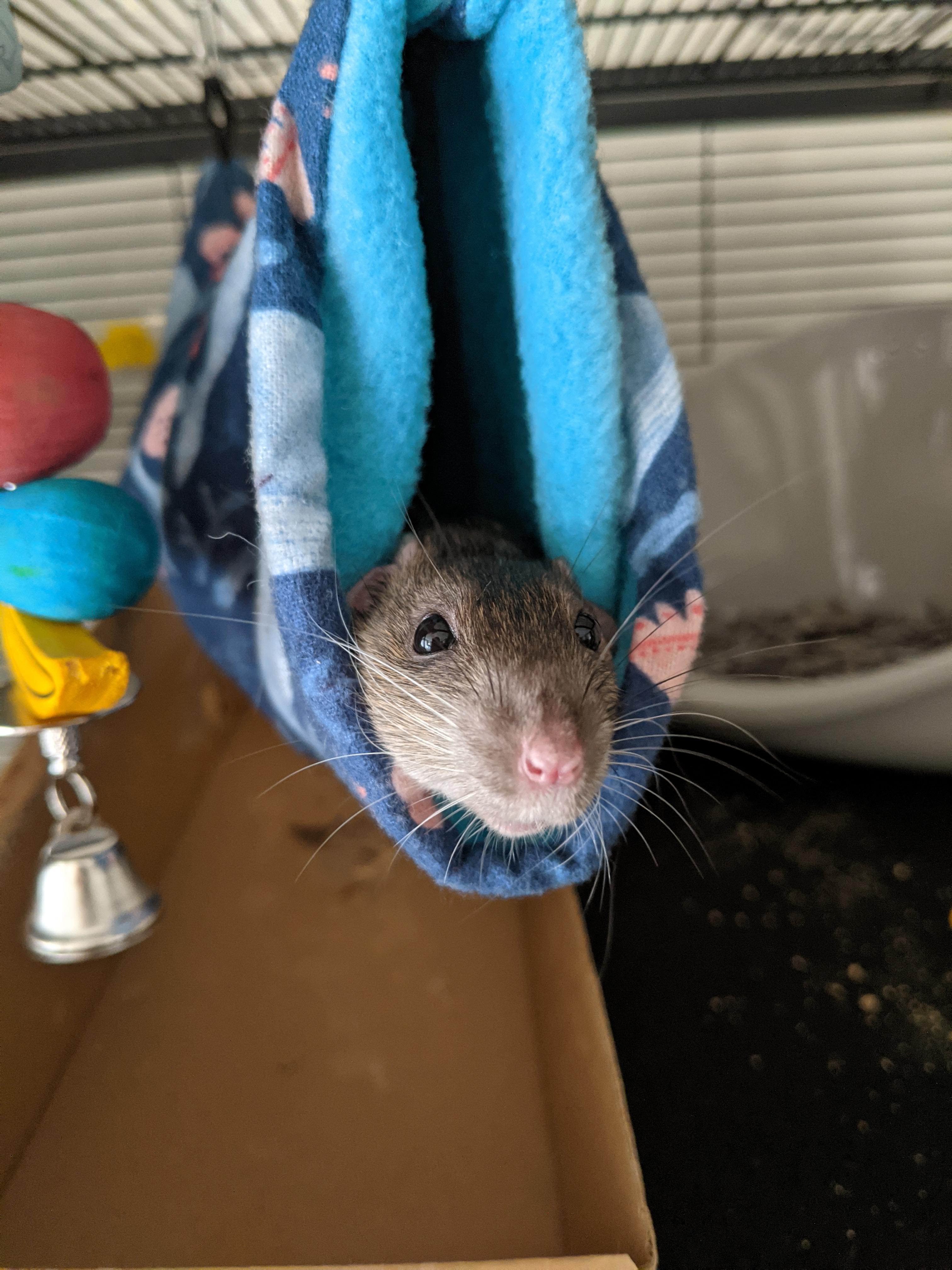 Didi hopes you're feeling as relaxed as her! | Scrolller