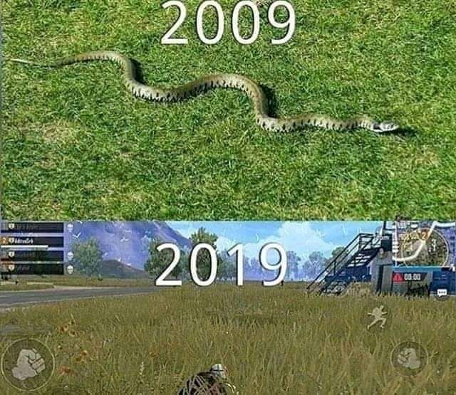 Different types of snake | Scrolller