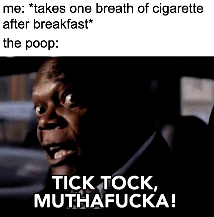 ding dong mofo | Scrolller