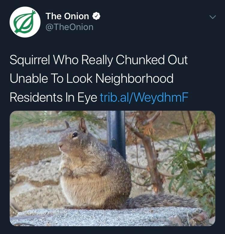 Disgusting | Scrolller