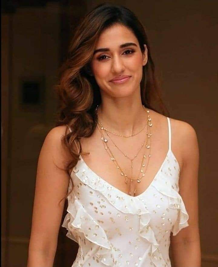 Disha patani | Scrolller