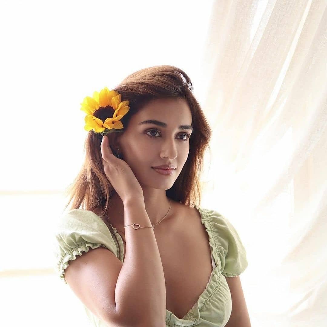 Disha Patani | Scrolller