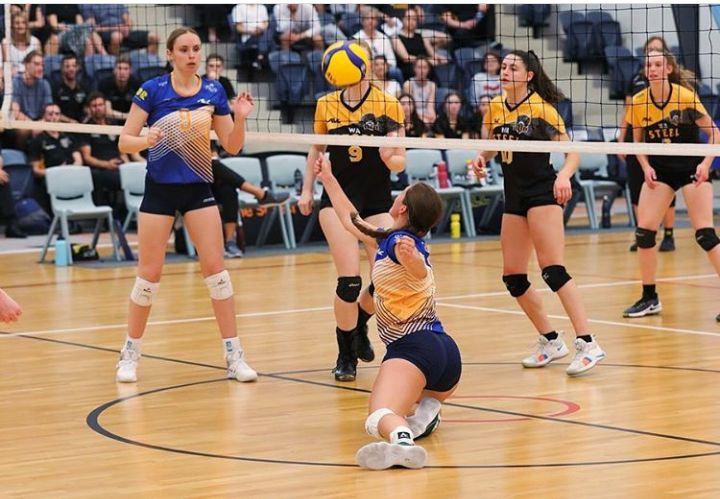 Diving in | Scrolller