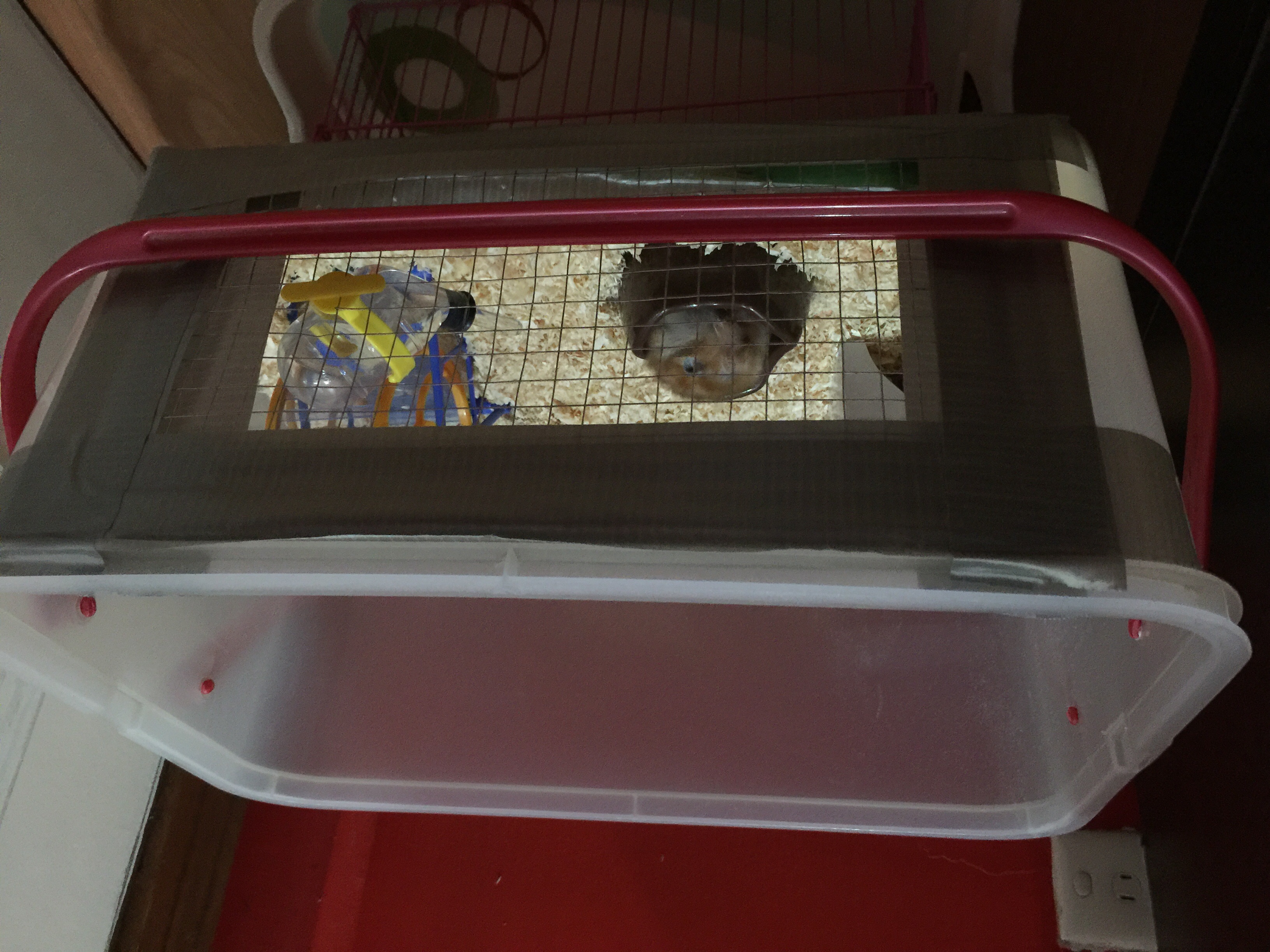 DIY hamster cage | Scrolller
